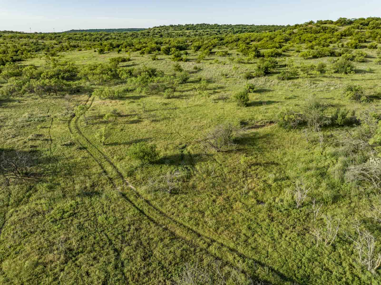 Crooked Tree Ranch - Sold - Texas - Hall and Hall