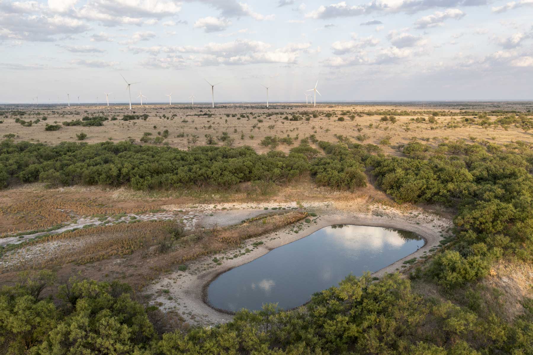 Crooked Tree Ranch - Sold - Texas - Hall and Hall