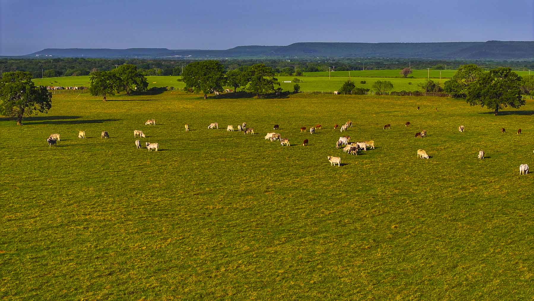 Texas River Ranch - Sold - Texas - Hall and Hall