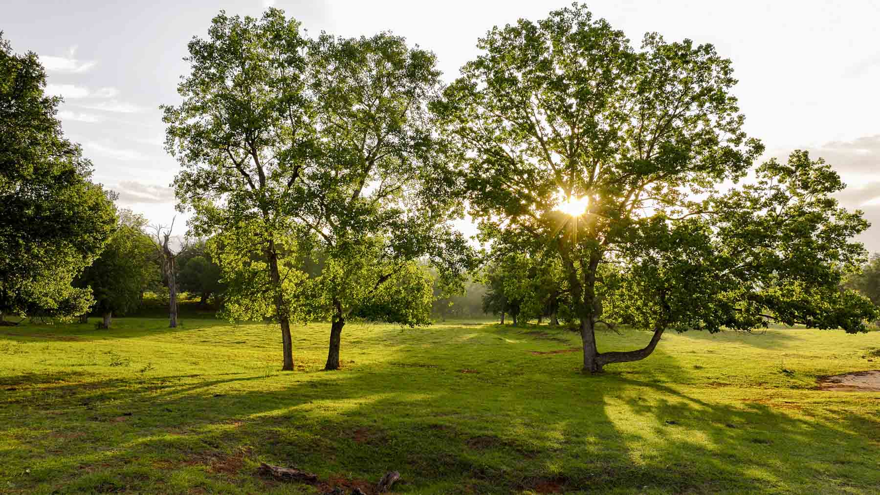 Texas River Ranch - Sold - Texas - Hall and Hall