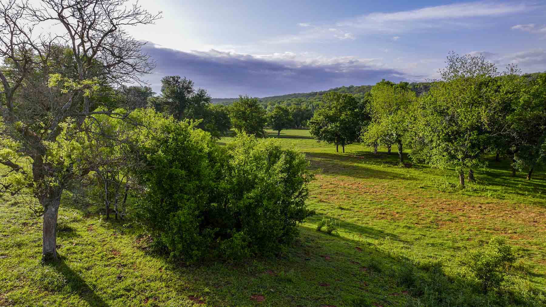 Texas River Ranch - Sold - Texas - Hall and Hall