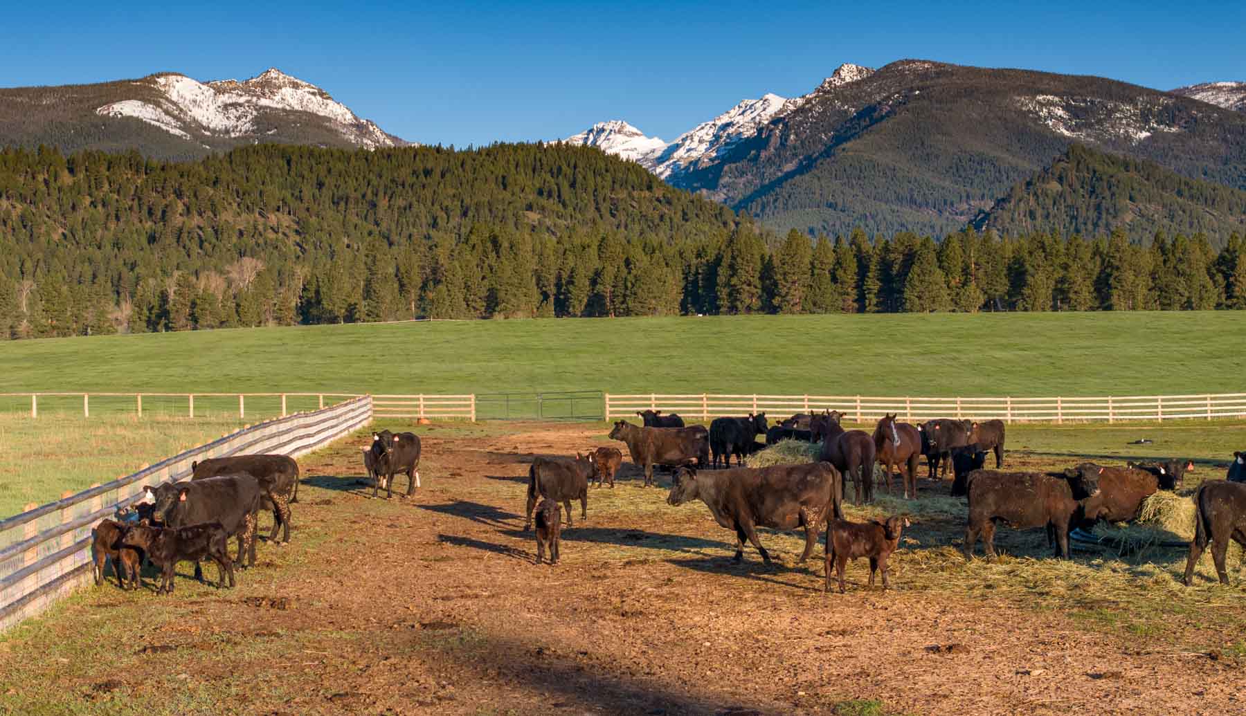 Hart Bench Ranch - For Sale - Montana - Hall and Hall