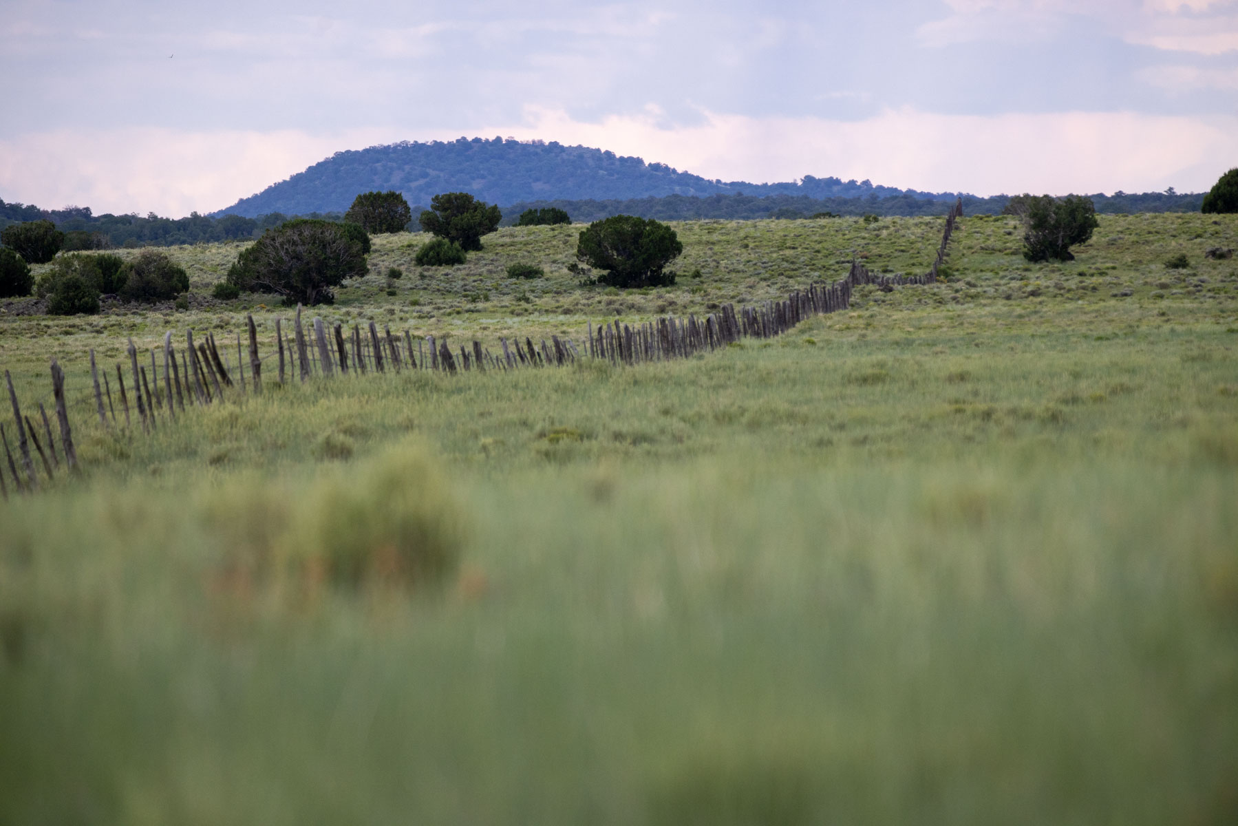 Great Western Ranch - Sold - New Mexico - Hall and Hall