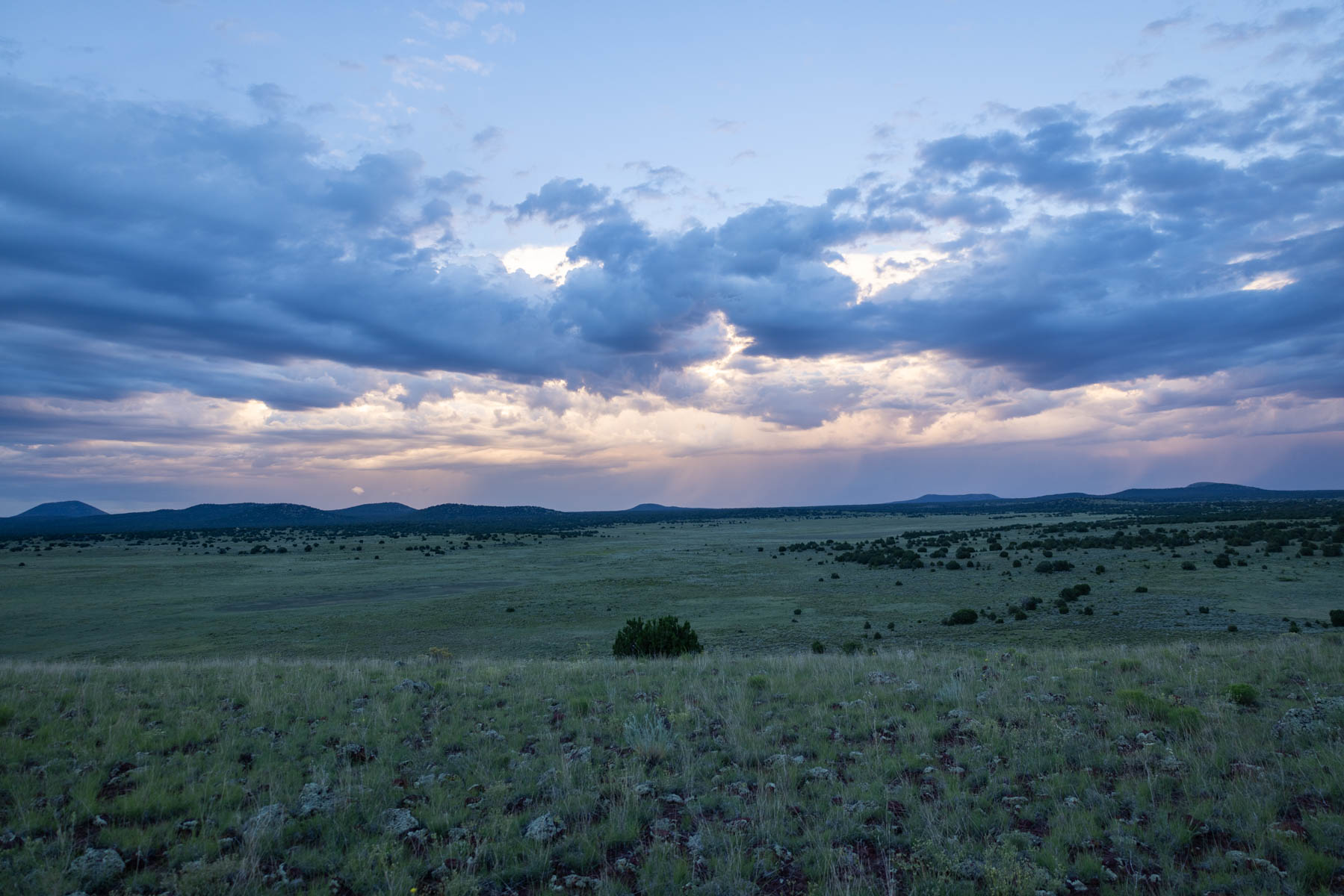 Great Western Ranch - Sold - New Mexico - Hall and Hall