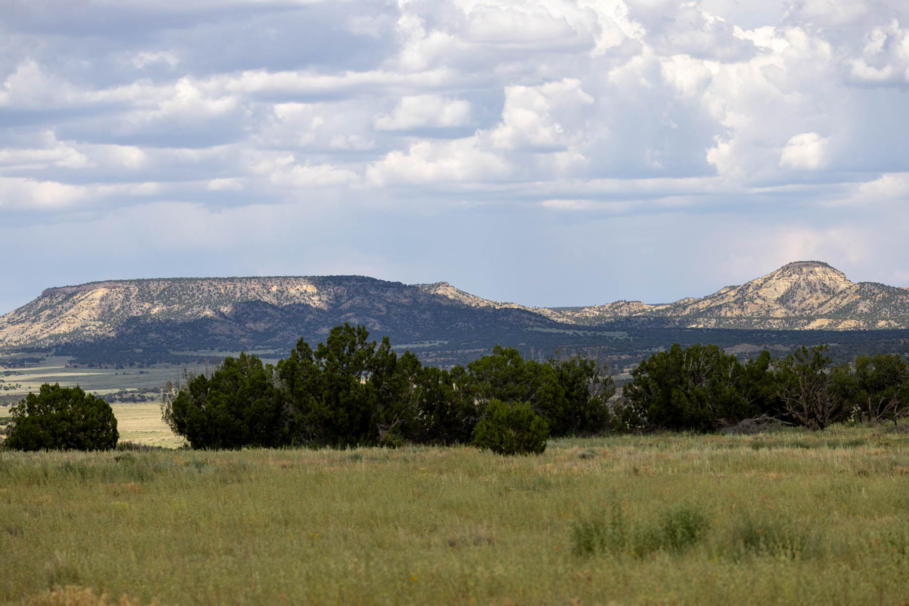 Great Western Ranch - Sold - New Mexico - Hall and Hall