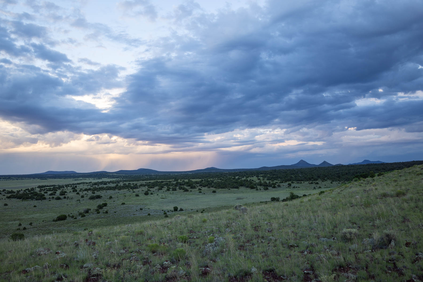Great Western Ranch - Sold - New Mexico - Hall and Hall