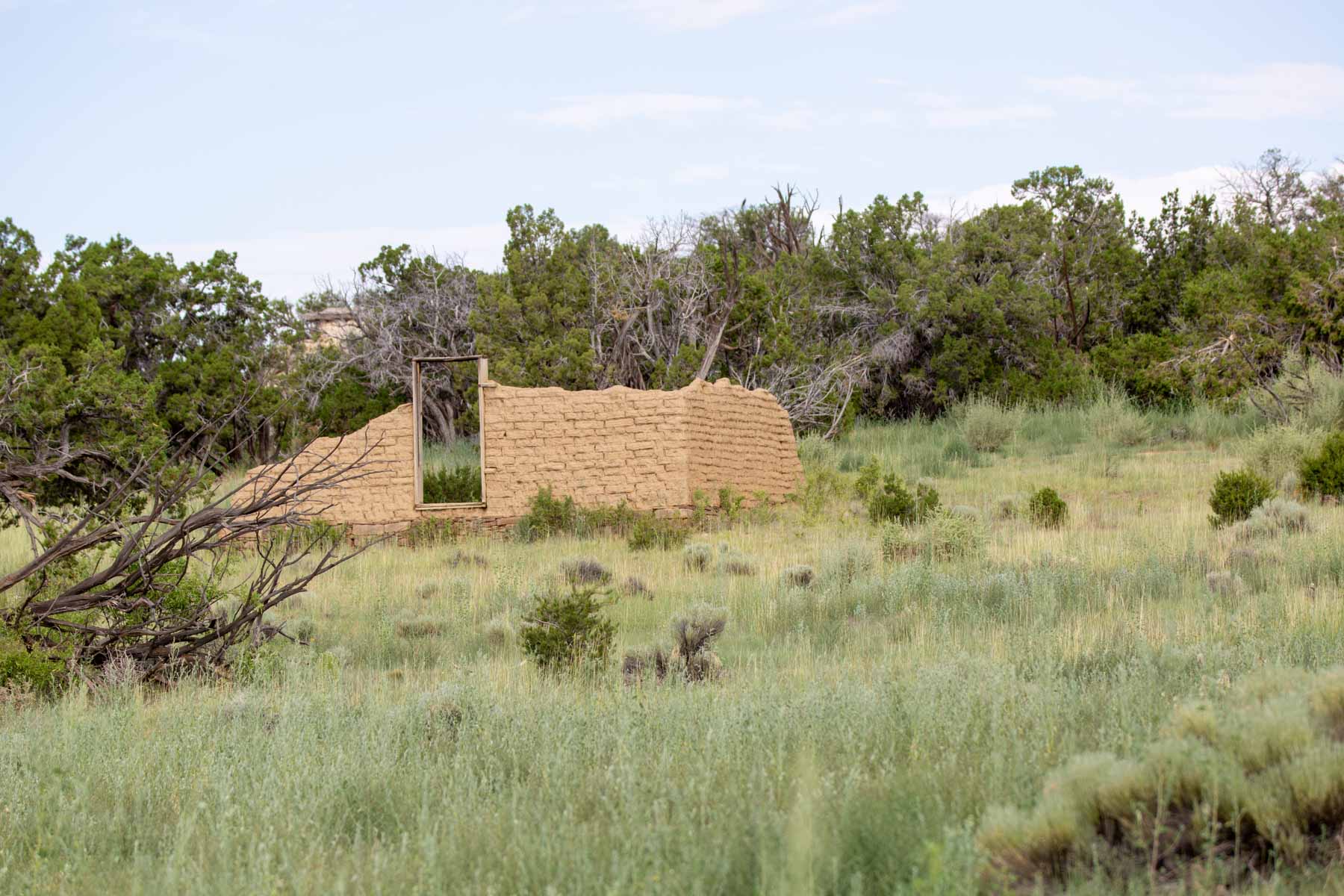 Great Western Ranch - Sold - New Mexico - Hall and Hall