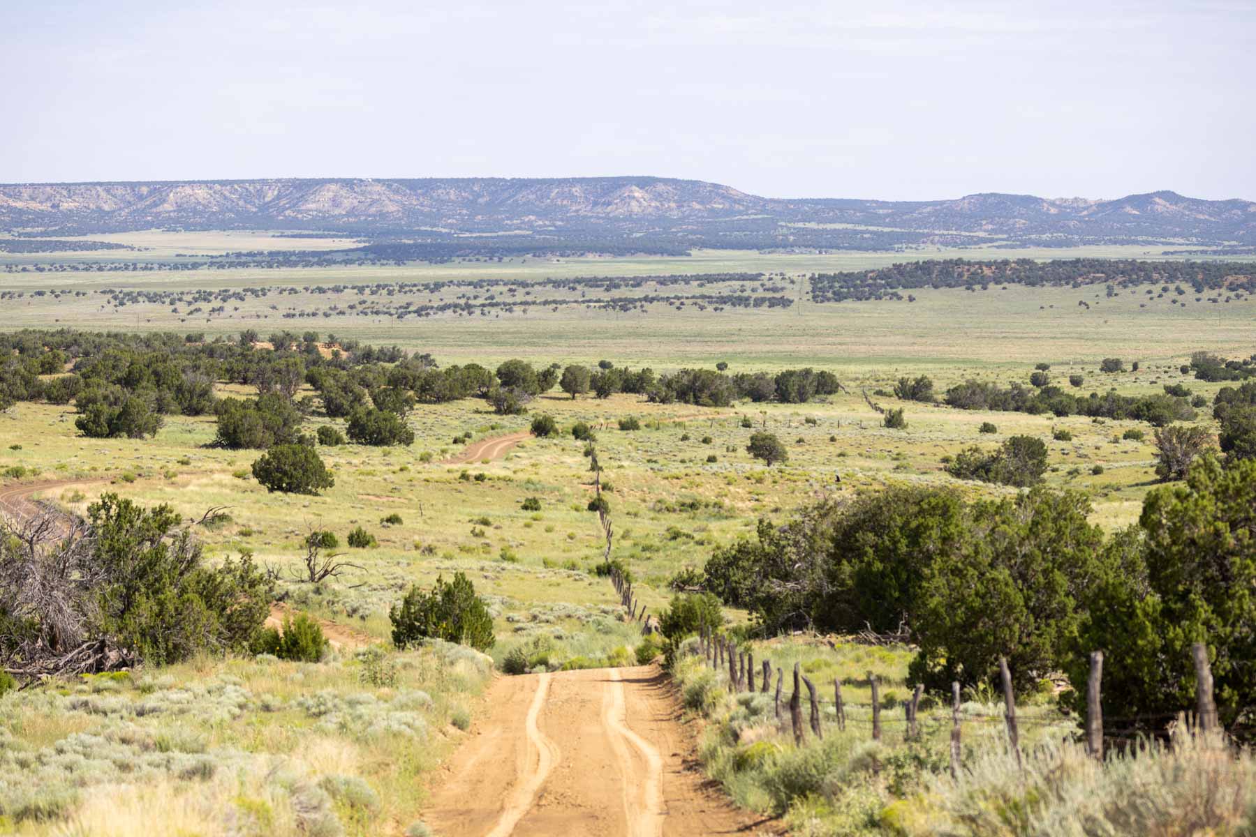 Great Western Ranch - Sold - New Mexico - Hall and Hall