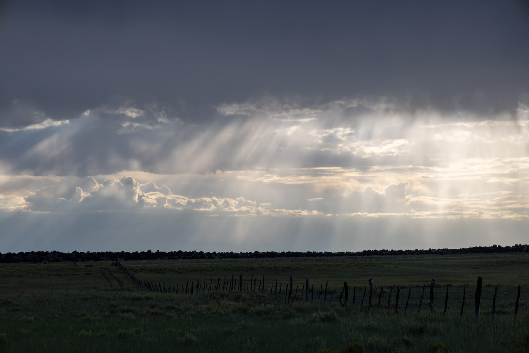 Great Western Ranch - Sold - New Mexico - Hall and Hall