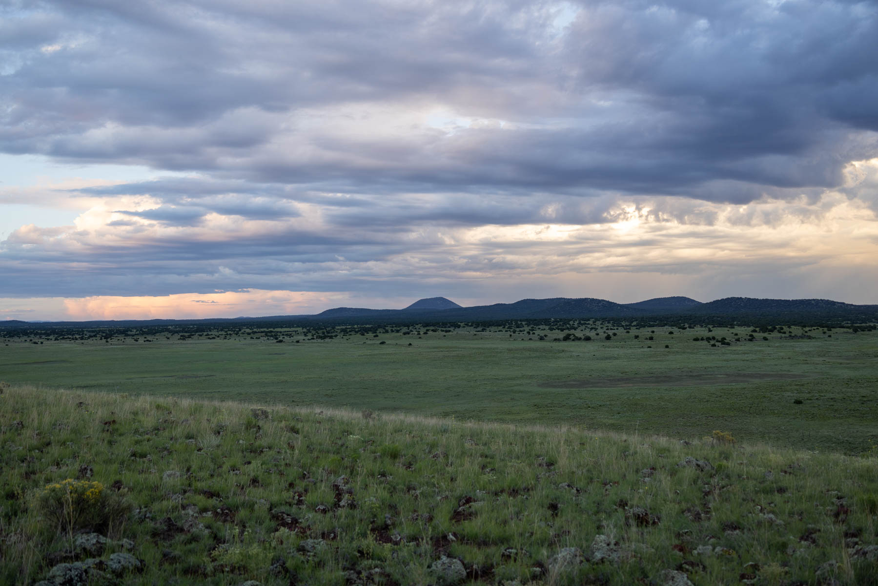 Great Western Ranch - Sold - New Mexico - Hall and Hall