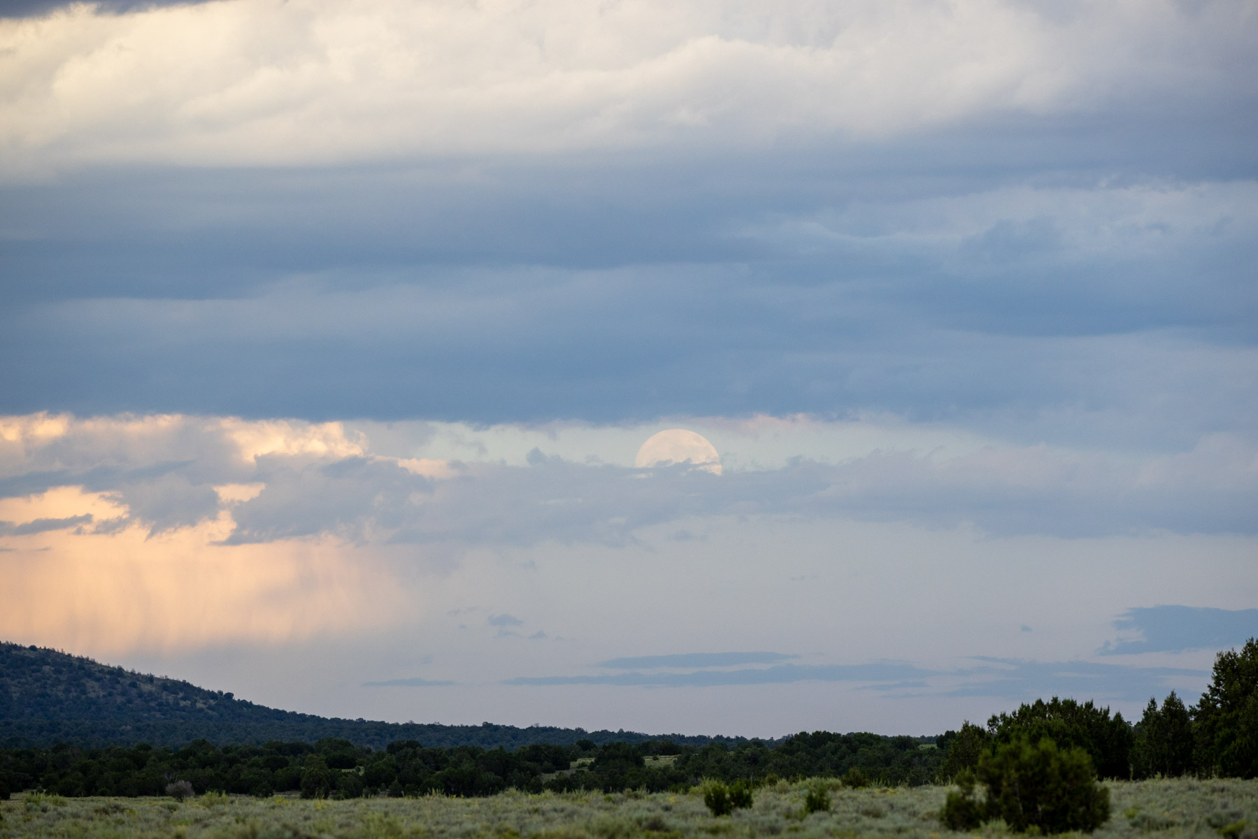 Great Western Ranch - Sold - New Mexico - Hall and Hall