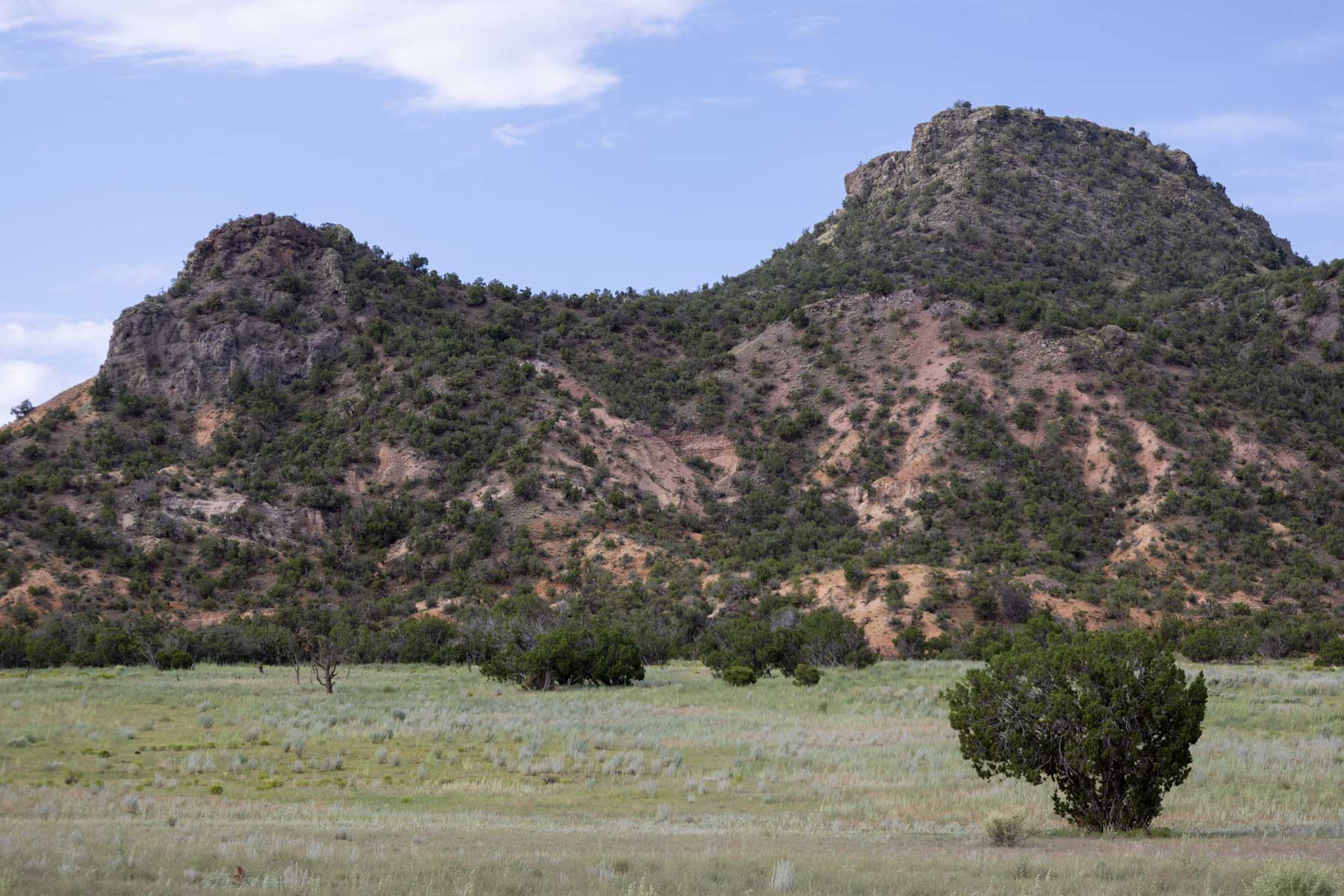 Great Western Ranch - Sold - New Mexico - Hall and Hall