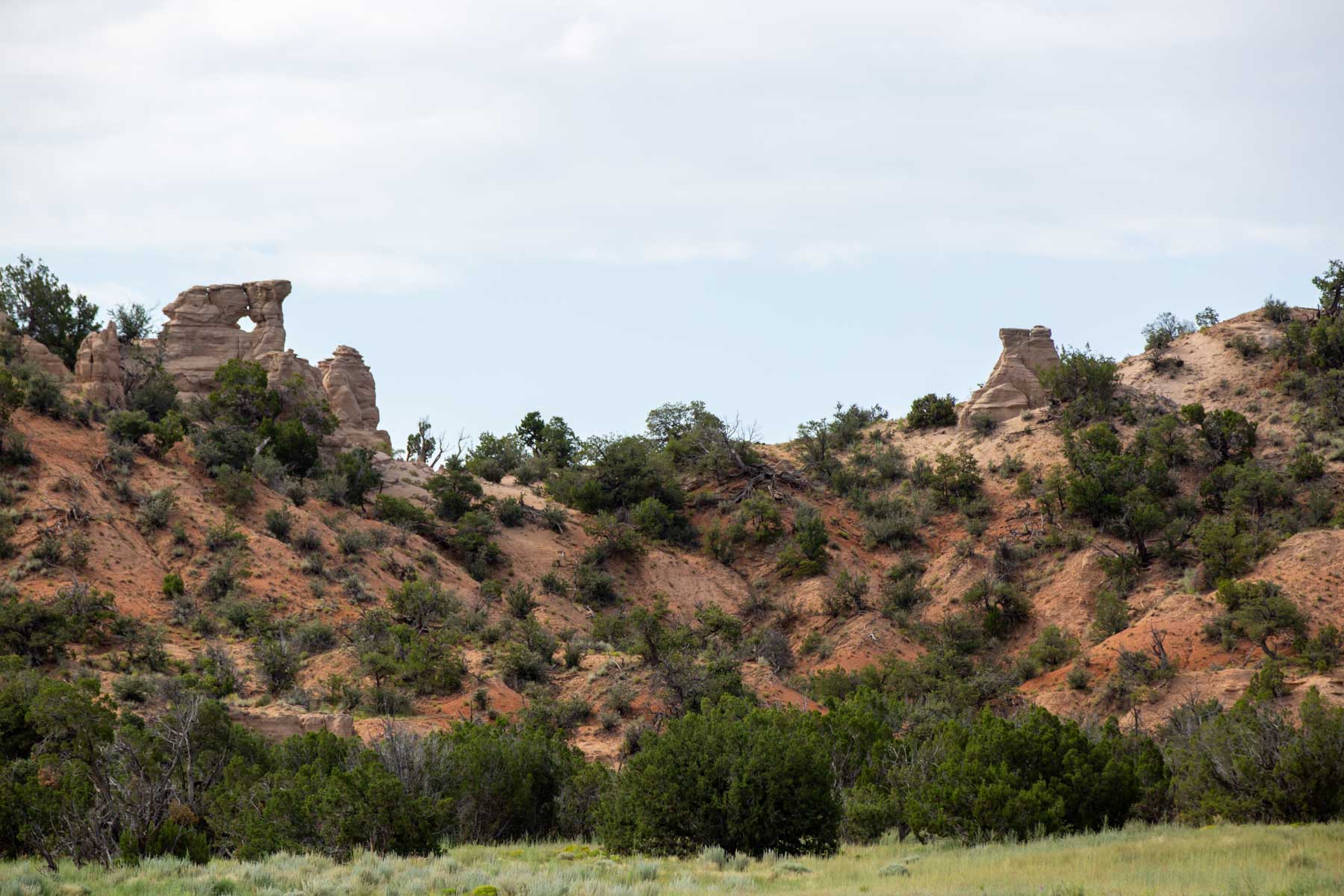 Great Western Ranch - Sold - New Mexico - Hall and Hall