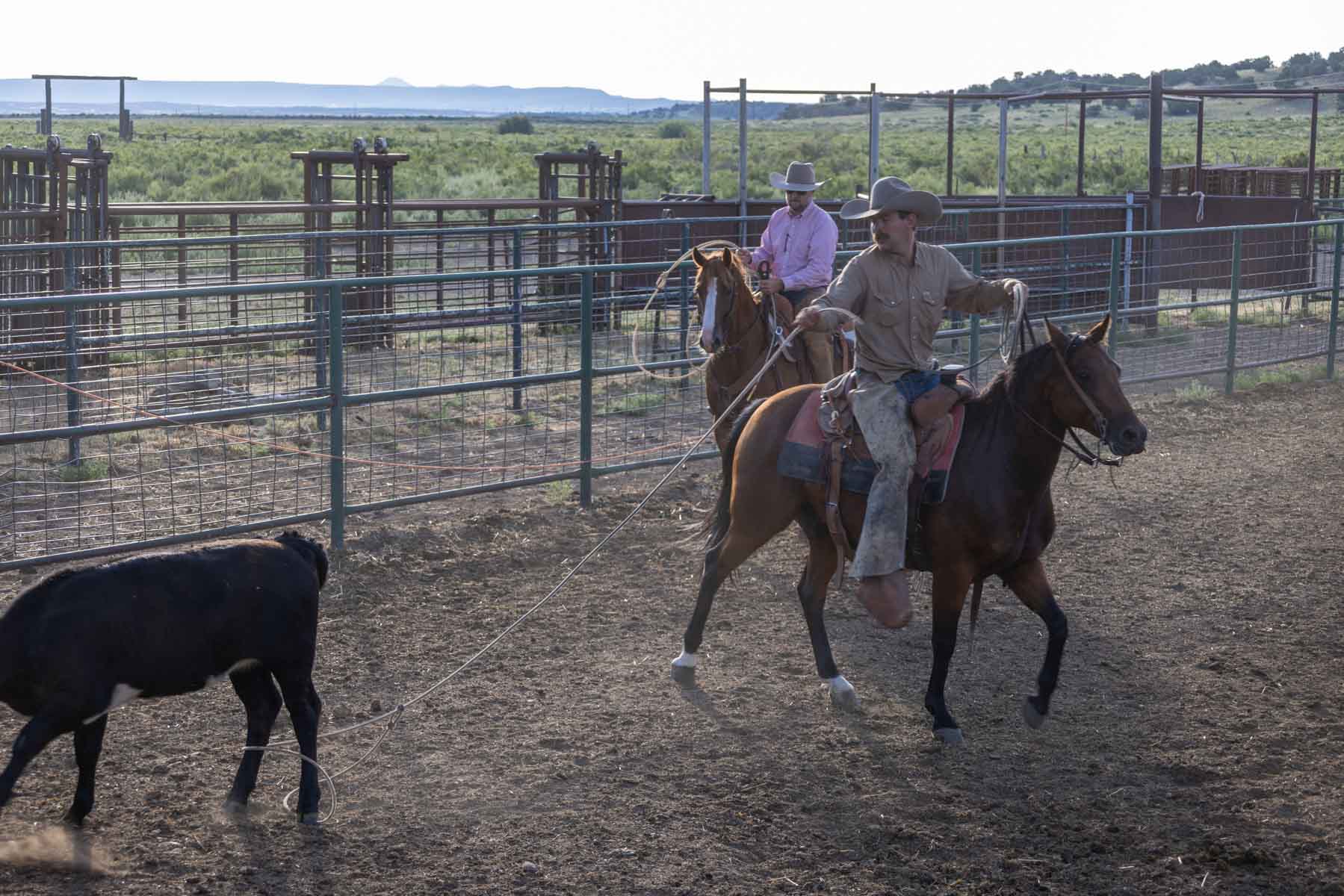 Great Western Ranch - Sold - New Mexico - Hall and Hall