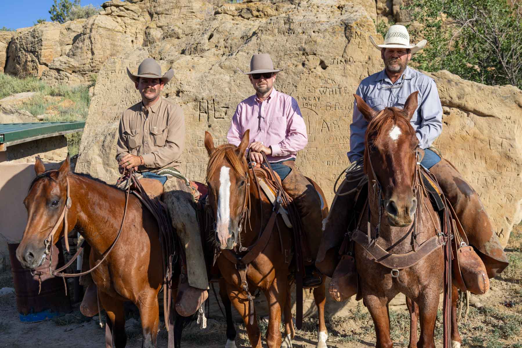 Great Western Ranch - Sold - New Mexico - Hall and Hall