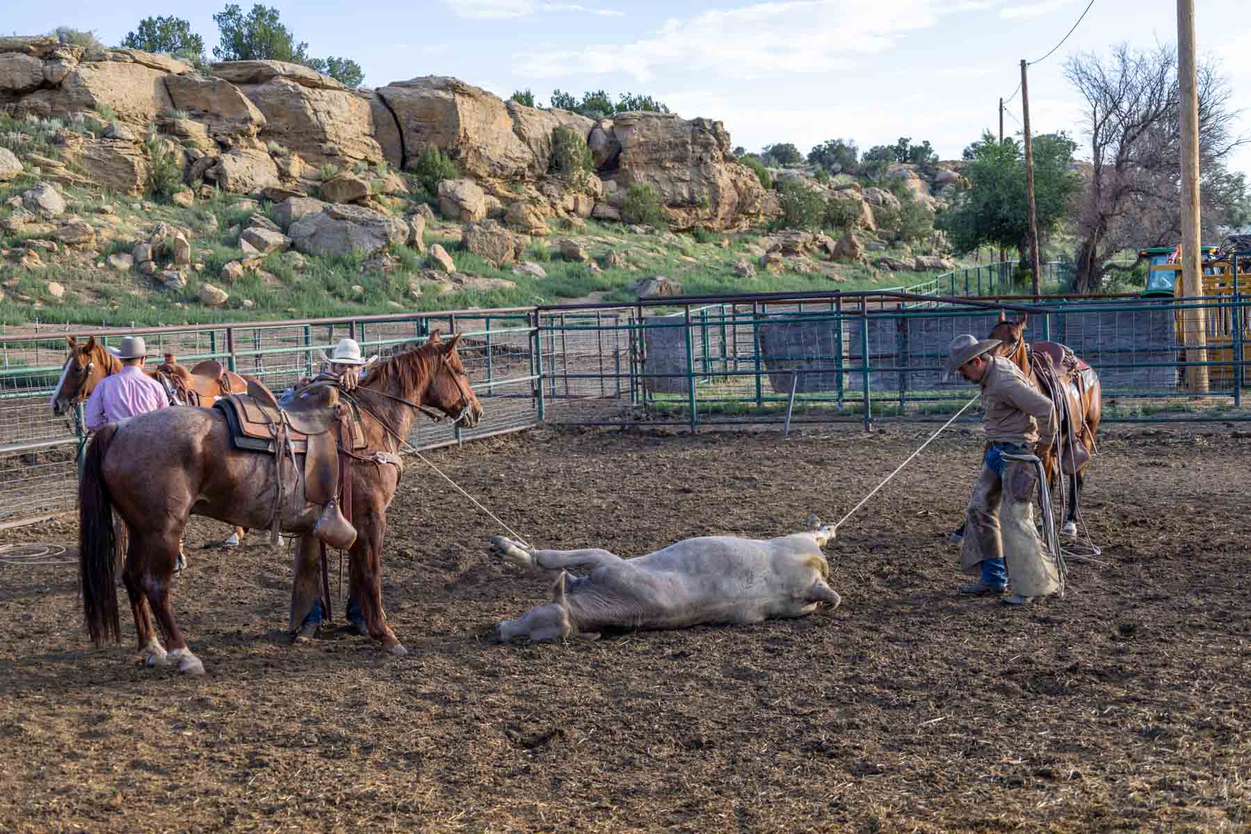 Great Western Ranch - Sold - New Mexico - Hall and Hall