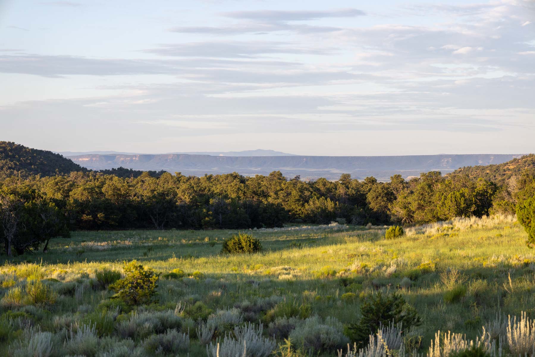 Great Western Ranch - Sold - New Mexico - Hall and Hall