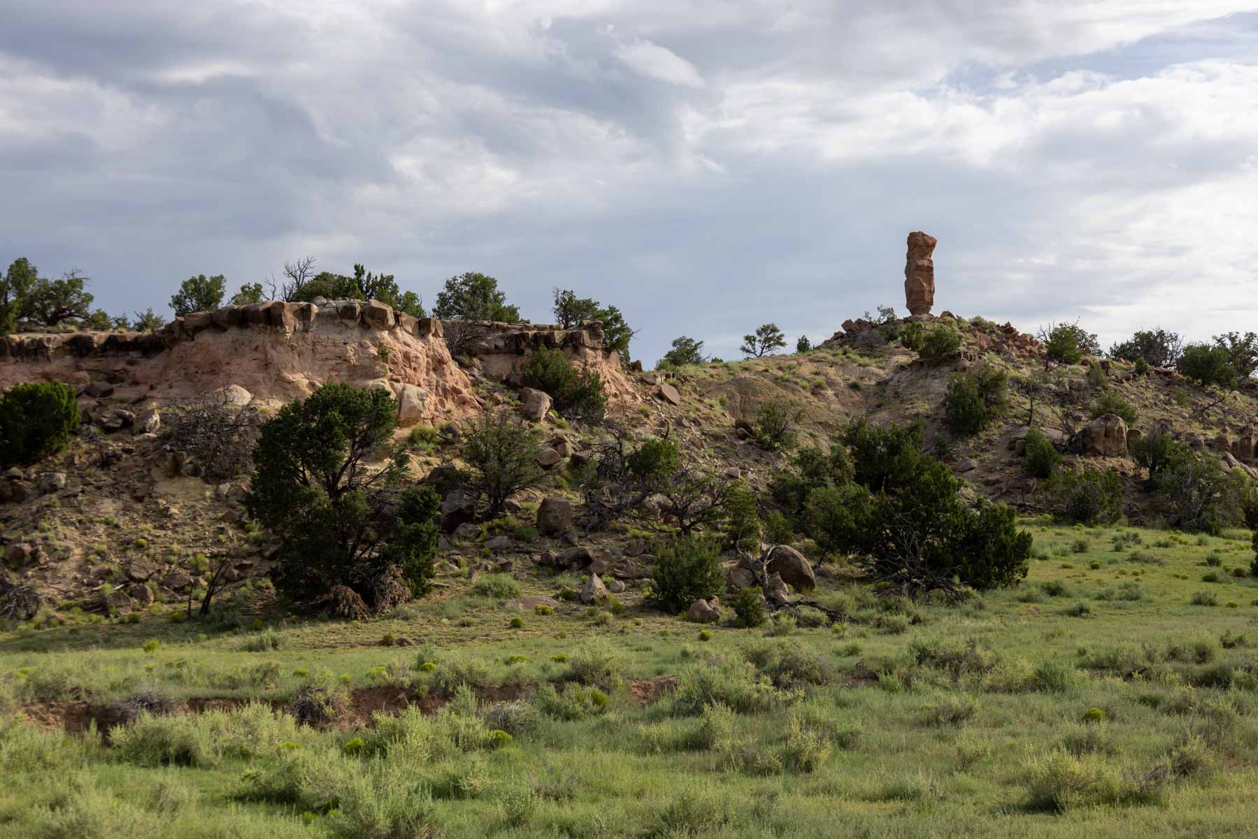 Great Western Ranch - Sold - New Mexico - Hall and Hall