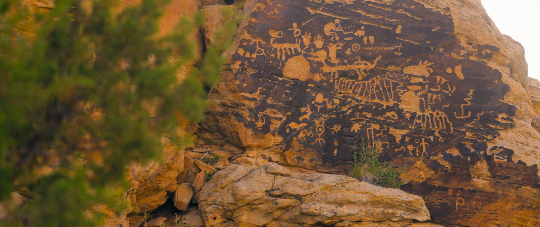 Great Western Ranch - Sold - New Mexico - Hall and Hall