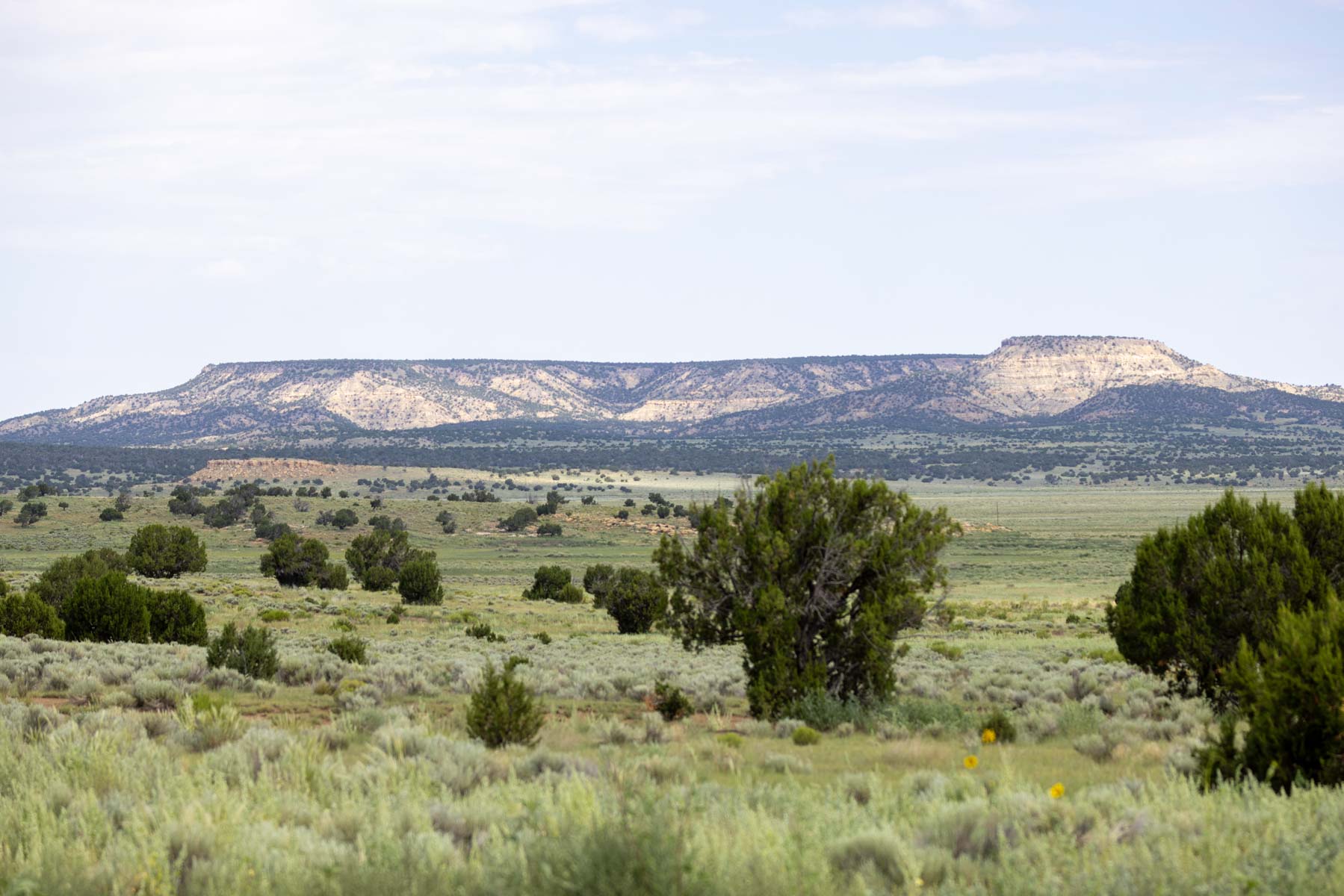 Great Western Ranch - Sold - New Mexico - Hall and Hall