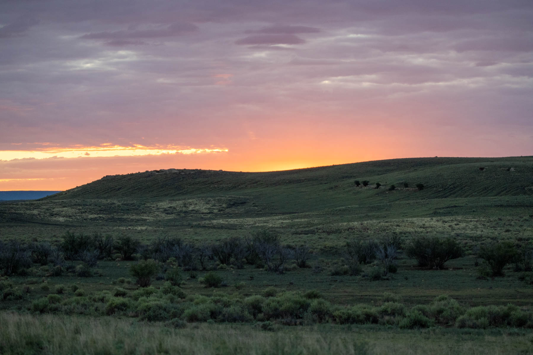 Great Western Ranch - Sold - New Mexico - Hall and Hall