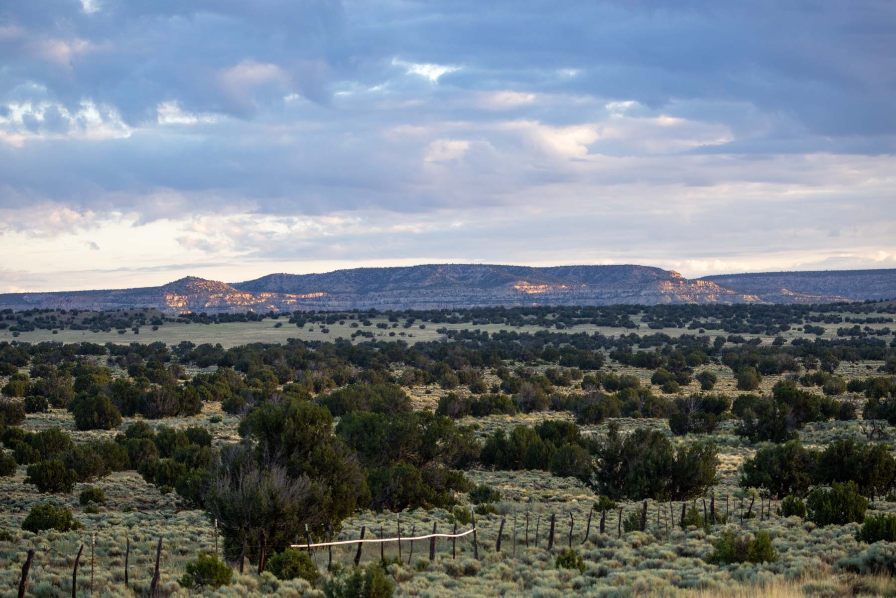 Great Western Ranch - Sold - New Mexico - Hall and Hall