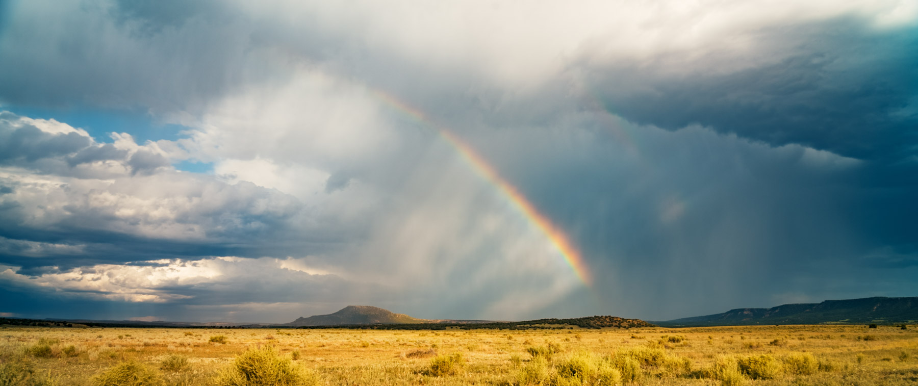 Great Western Ranch - Sold - New Mexico - Hall and Hall