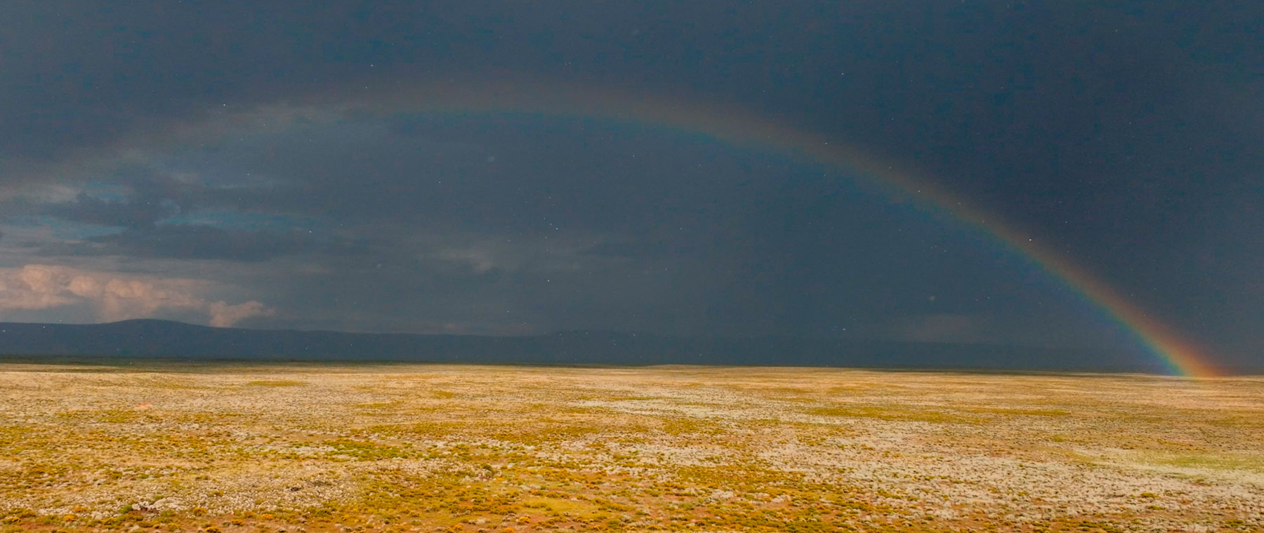Great Western Ranch - Sold - New Mexico - Hall and Hall