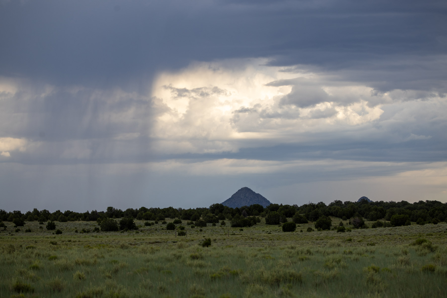 Great Western Ranch - Sold - New Mexico - Hall and Hall