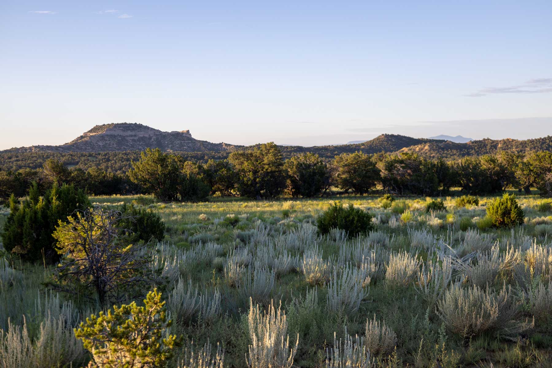 Great Western Ranch - Sold - New Mexico - Hall and Hall