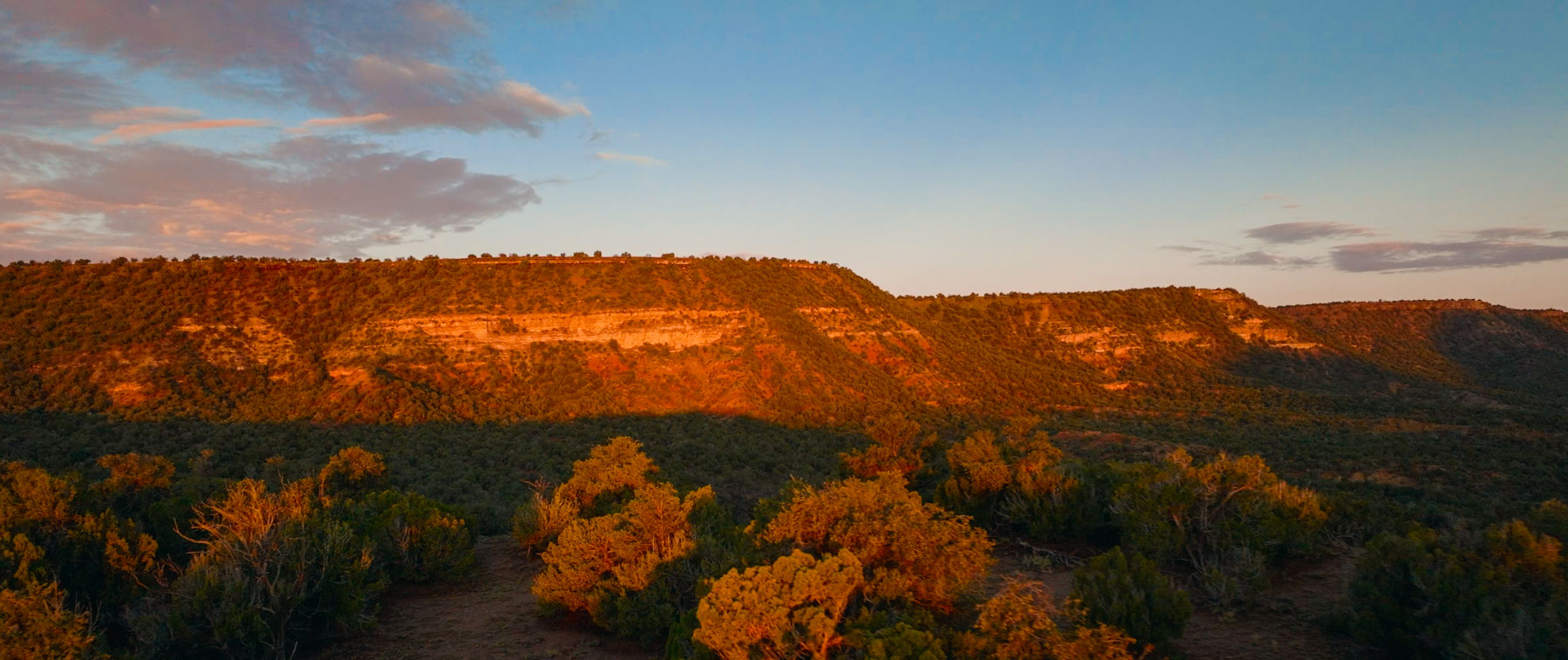 Great Western Ranch - Sold - New Mexico - Hall and Hall