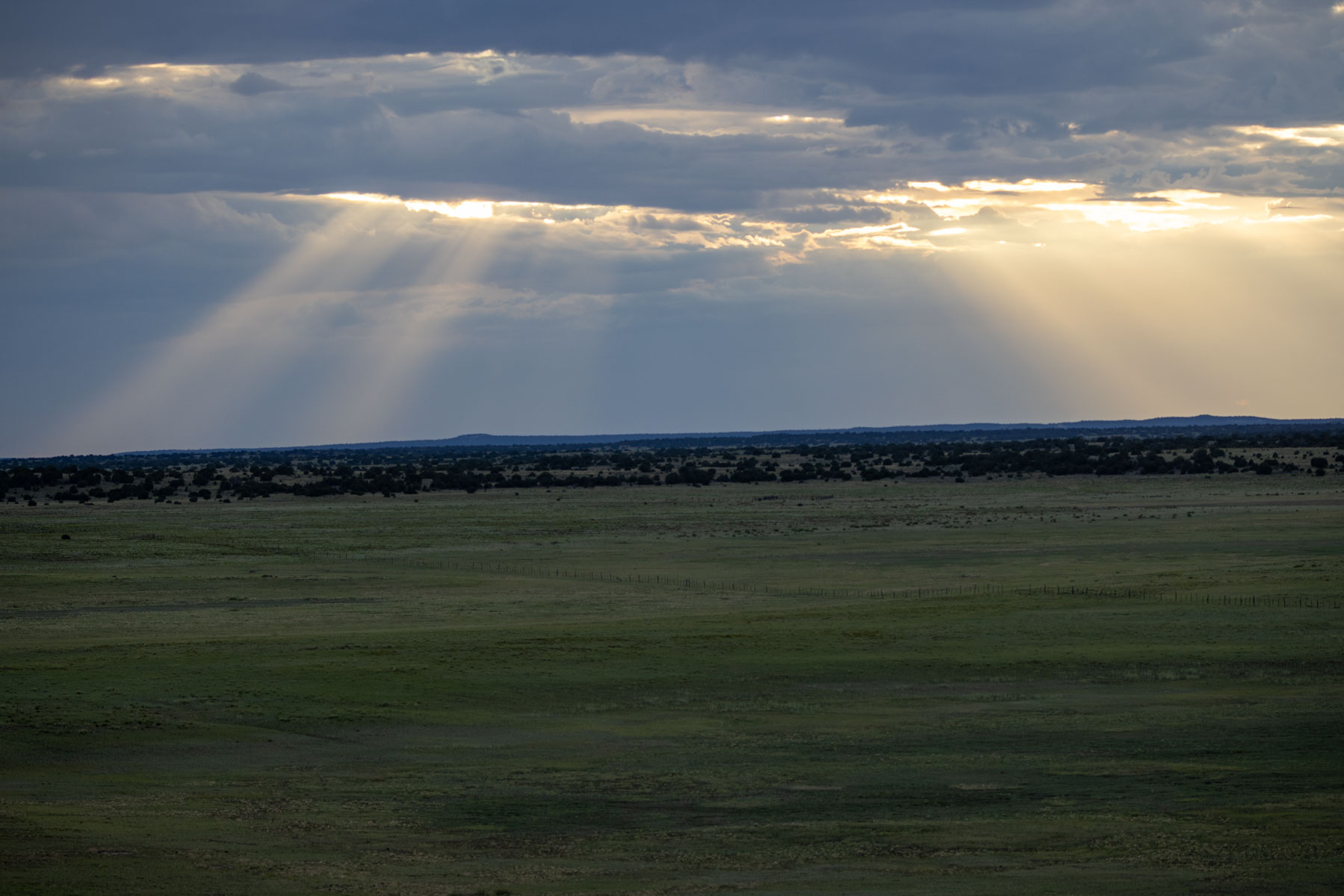 Great Western Ranch - Sold - New Mexico - Hall and Hall