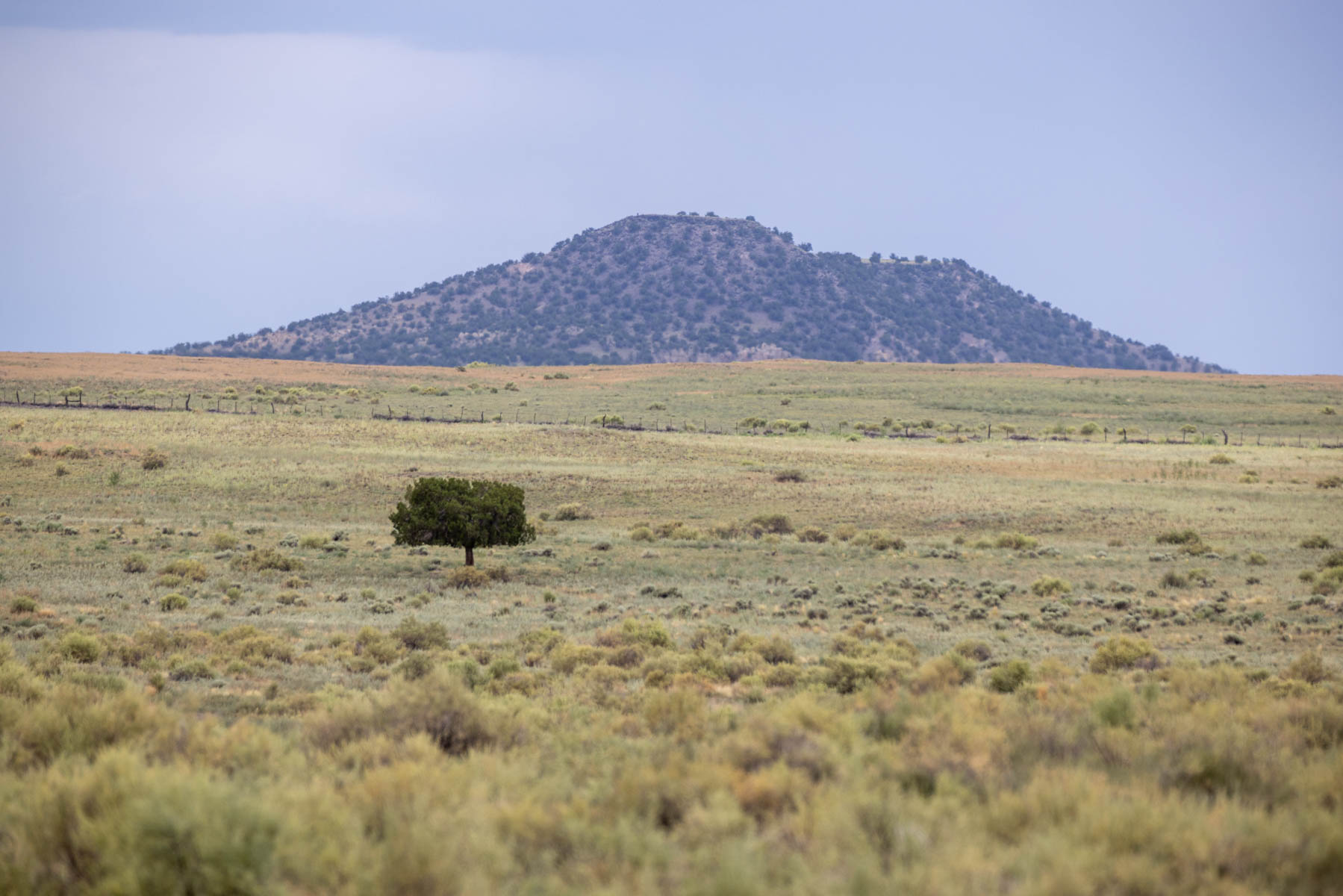 Great Western Ranch - Sold - New Mexico - Hall and Hall