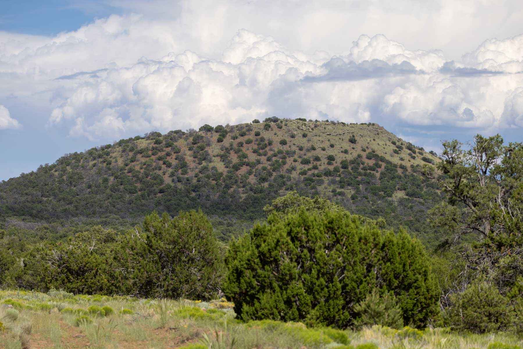 Great Western Ranch - Sold - New Mexico - Hall and Hall