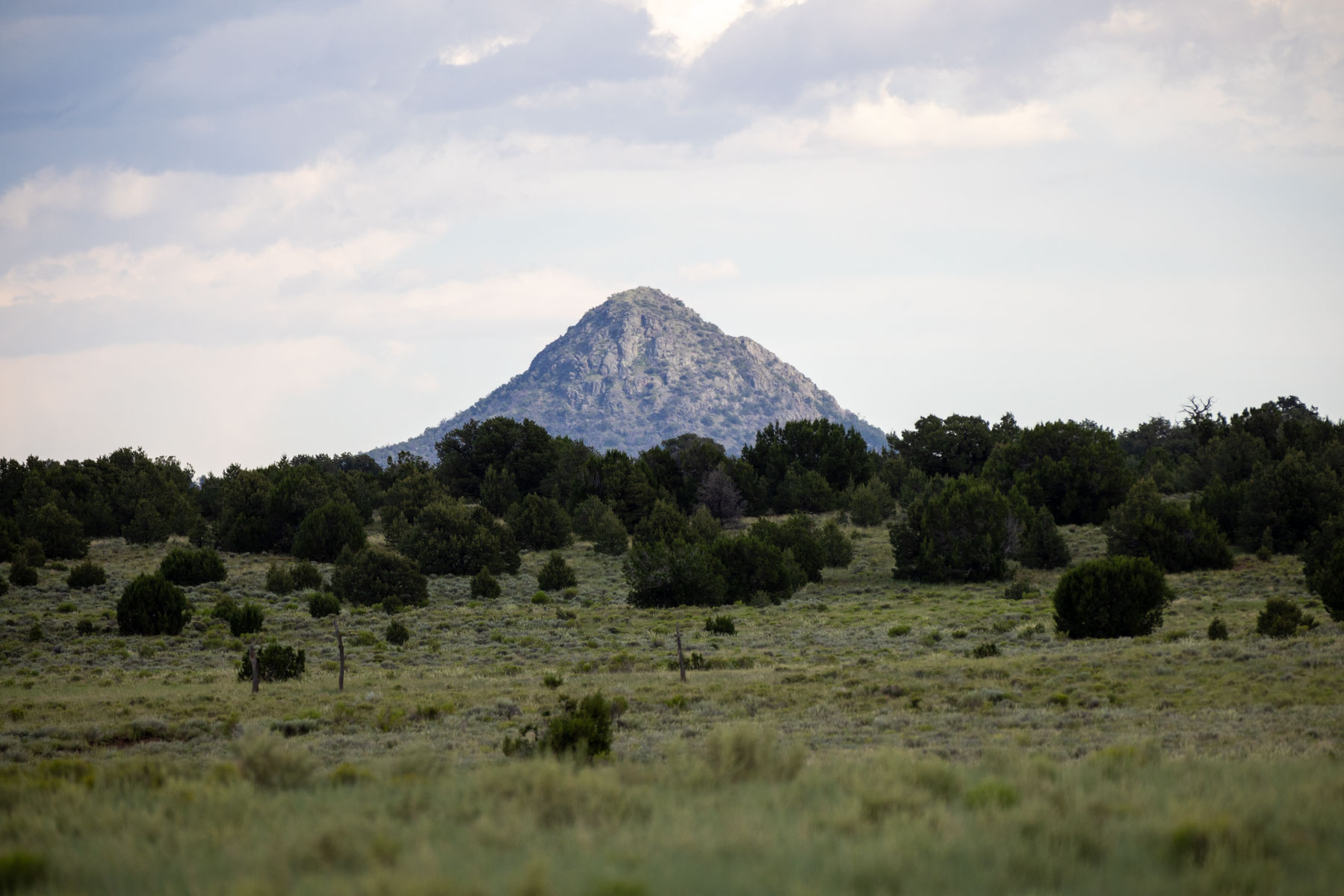 Great Western Ranch - Sold - New Mexico - Hall and Hall