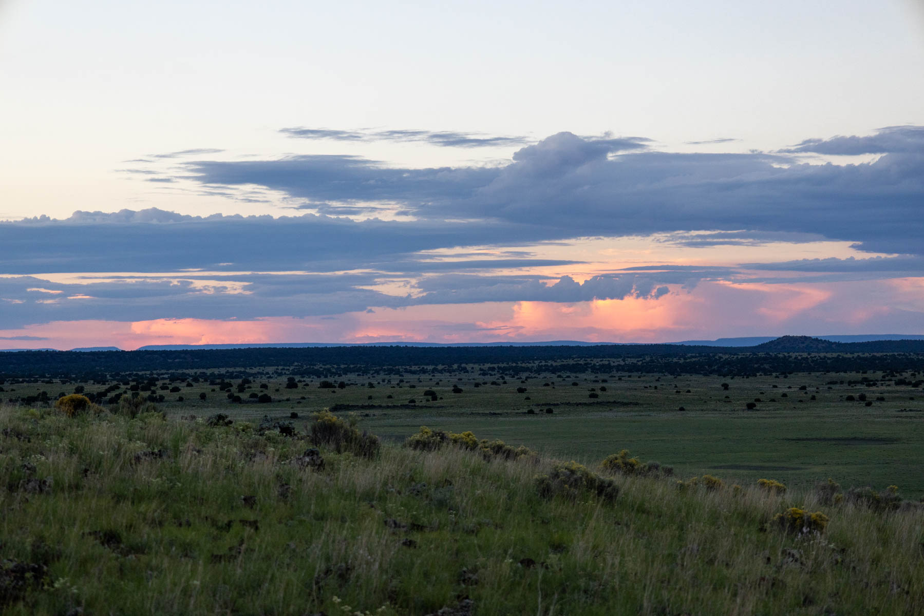 Great Western Ranch - Sold - New Mexico - Hall and Hall