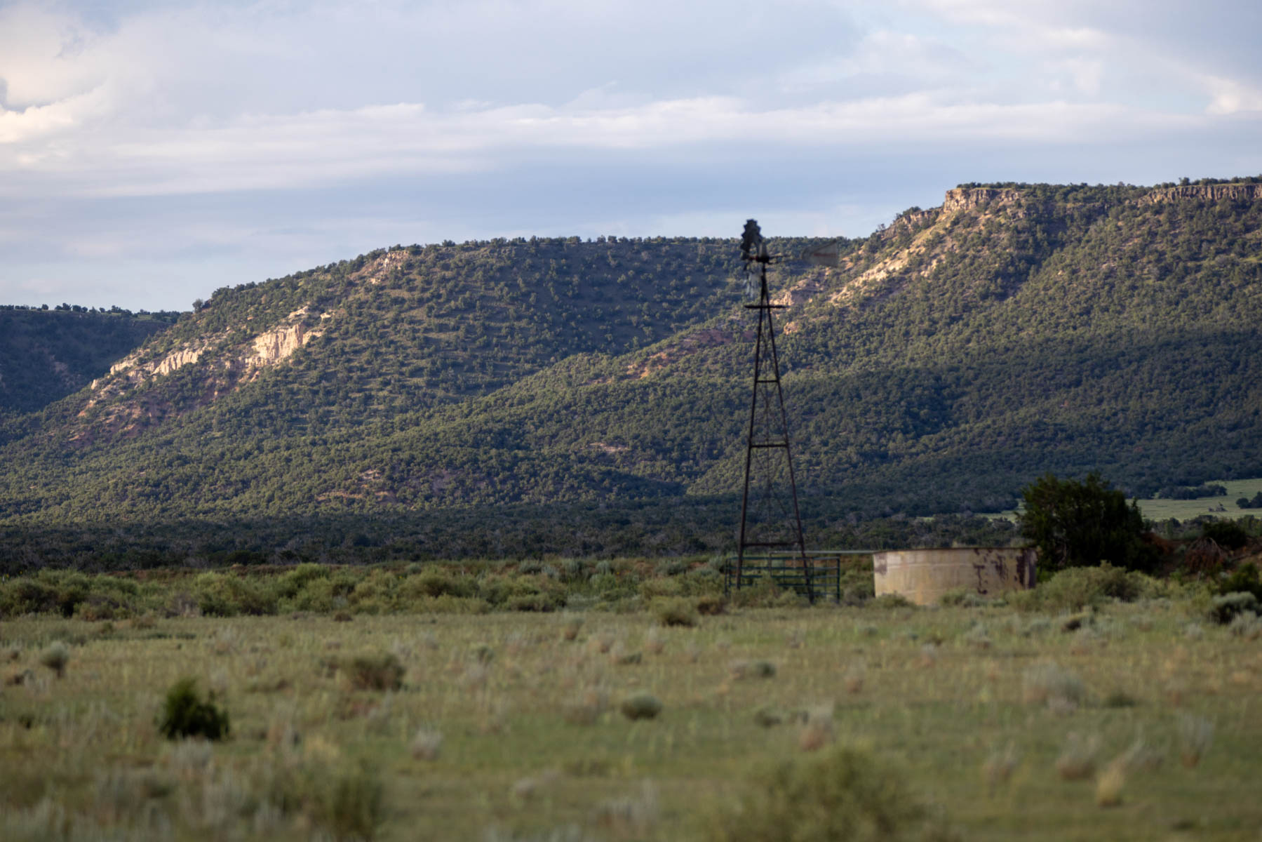 Great Western Ranch - Sold - New Mexico - Hall and Hall