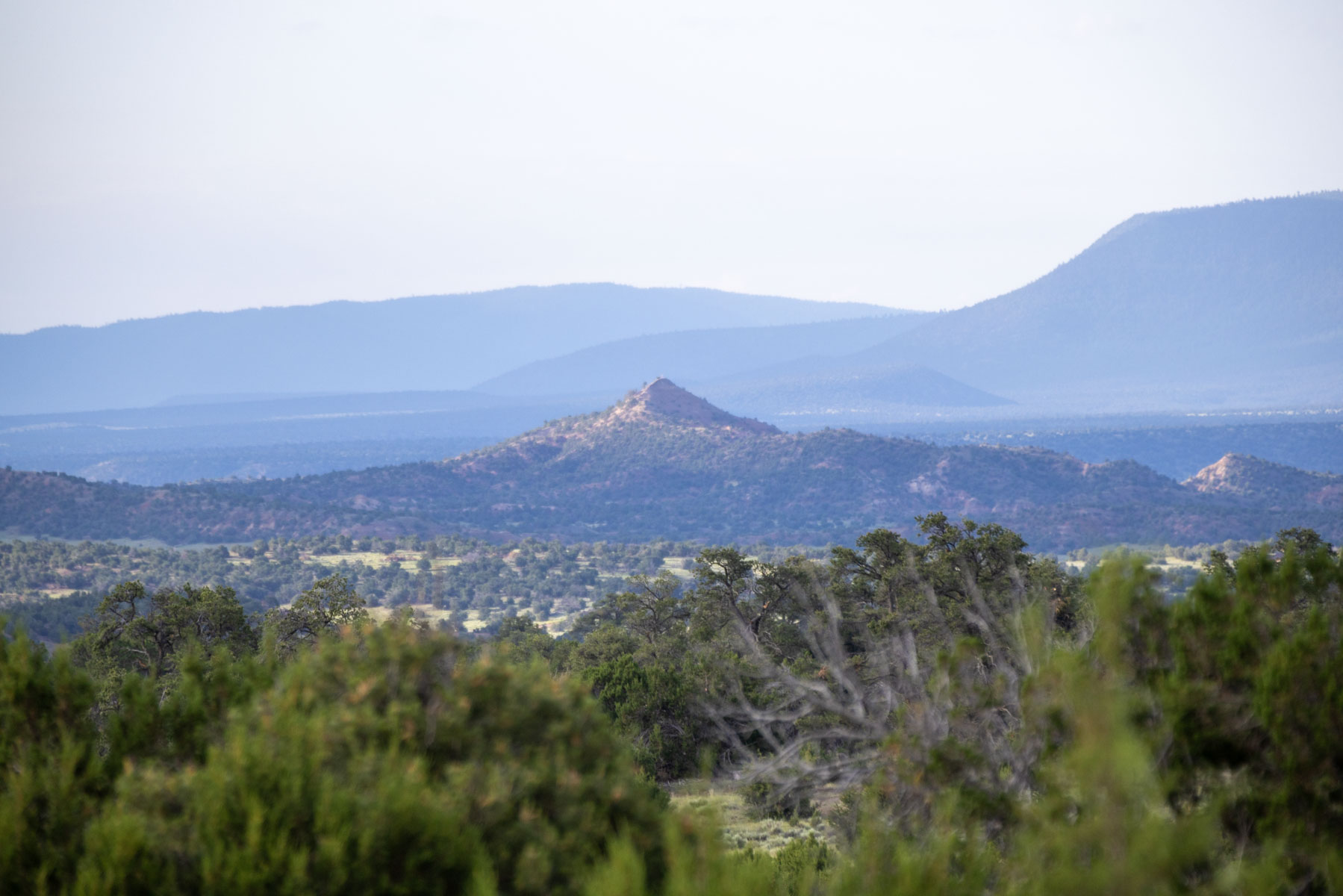 Great Western Ranch - Sold - New Mexico - Hall and Hall