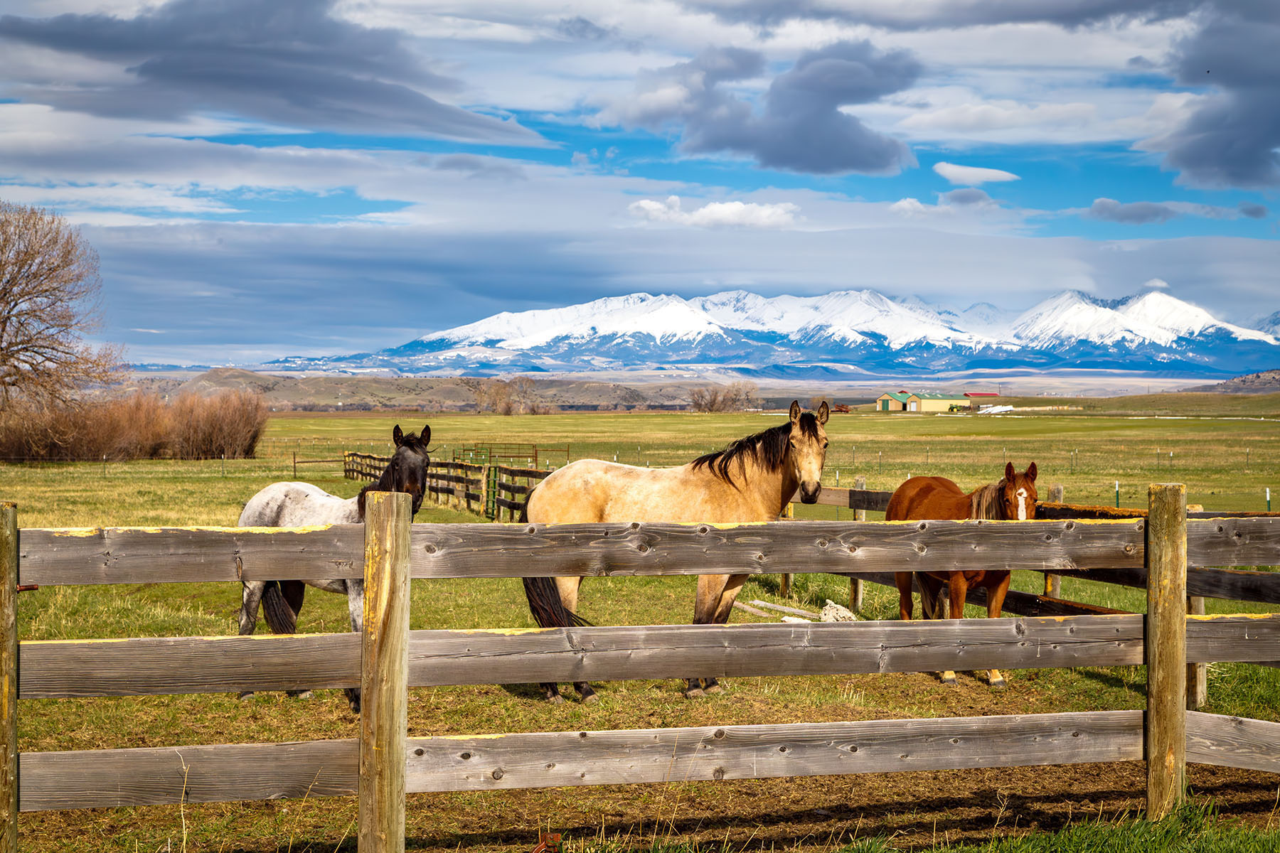 The Fort Ranch on the Yellowstone - For Sale - Montana - Hall and Hall