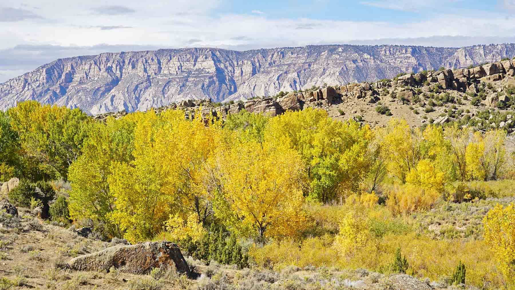 K Ranch - Sold - Colorado - Hall and Hall