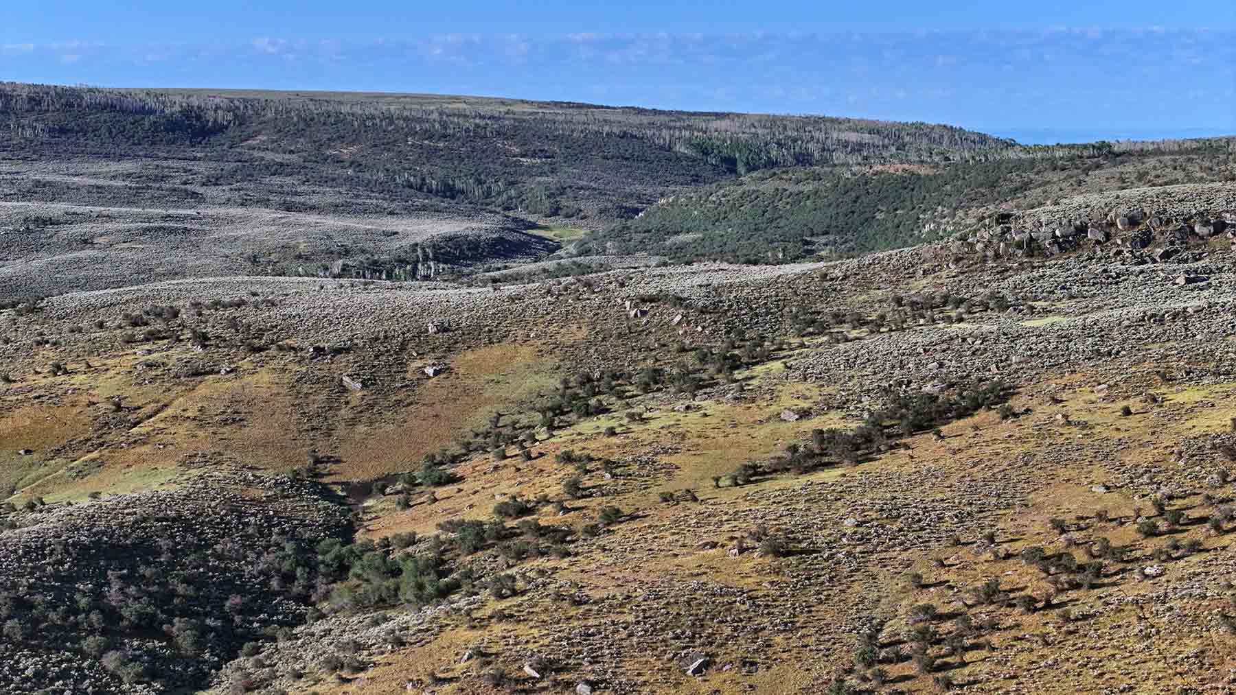 K Ranch - Sold - Colorado - Hall and Hall