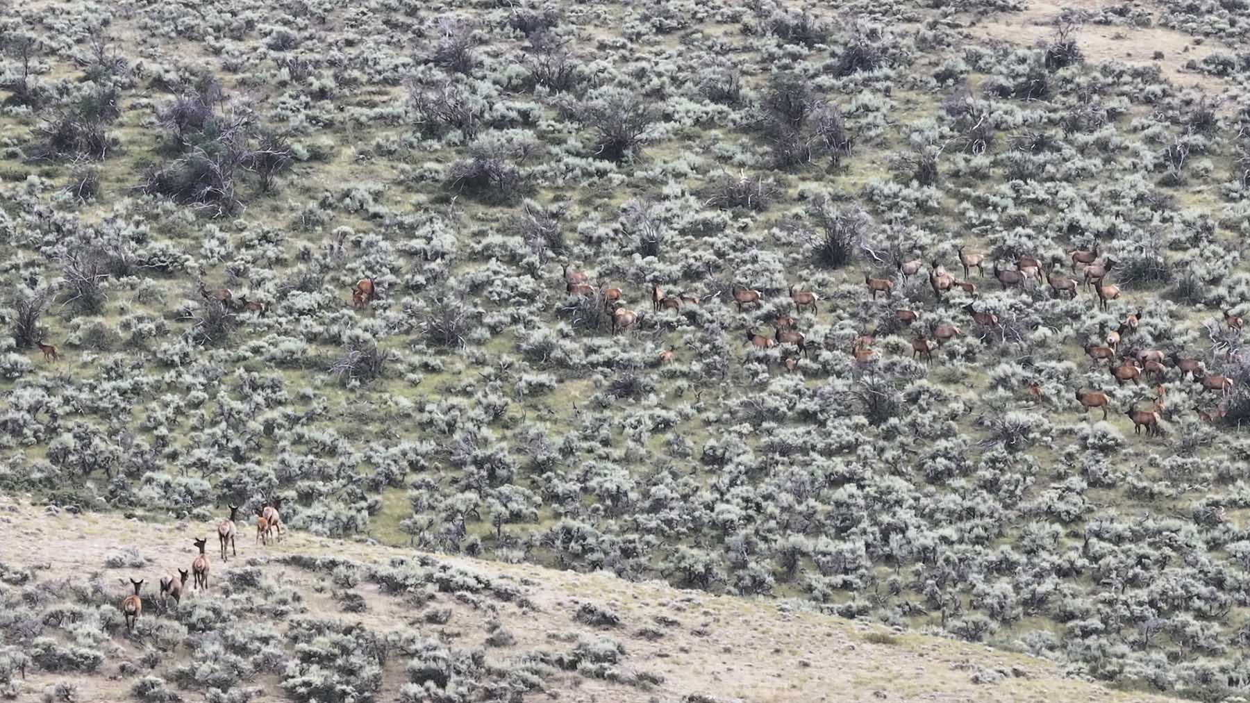 K Ranch - Sold - Colorado - Hall and Hall