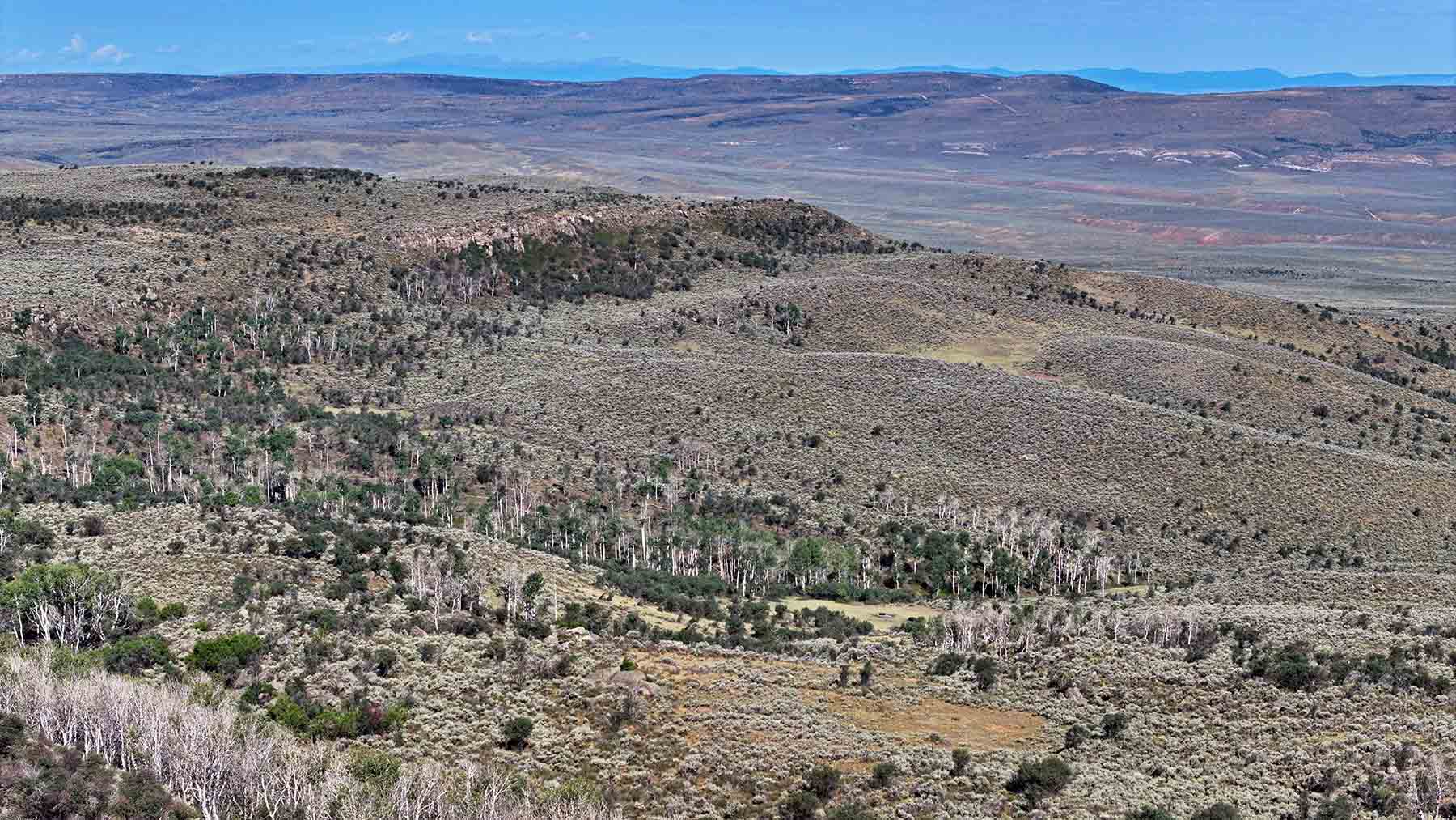 K Ranch - Sold - Colorado - Hall and Hall