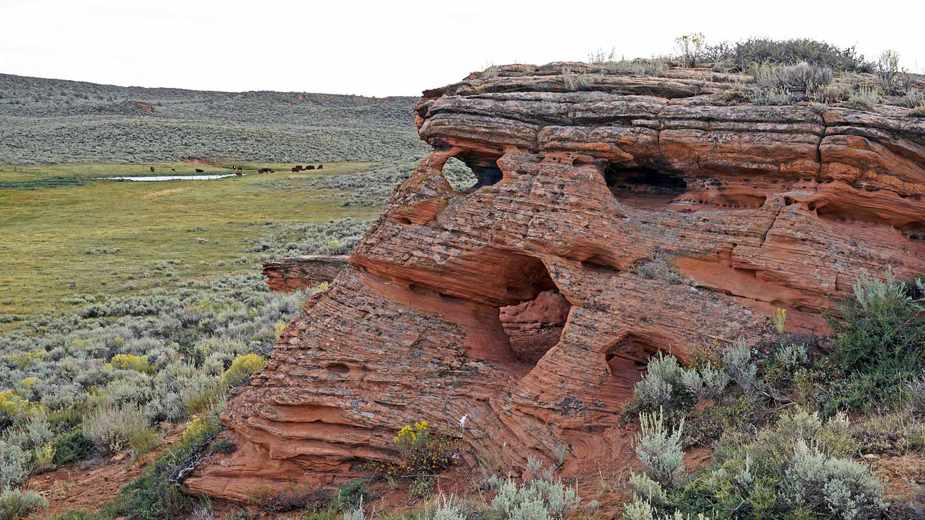 K Ranch - Sold - Colorado - Hall and Hall