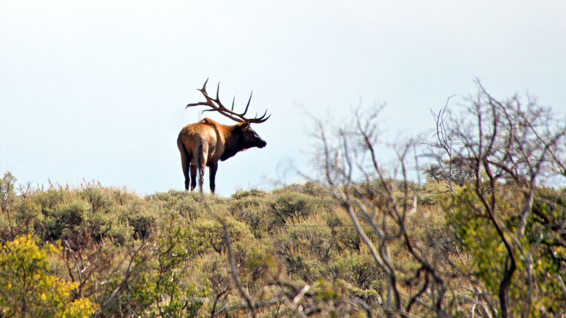 K Ranch - Sold - Colorado - Hall and Hall