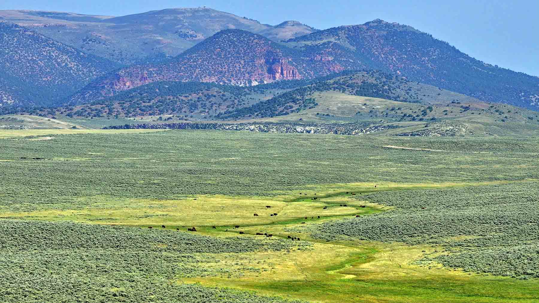 K Ranch - Sold - Colorado - Hall and Hall