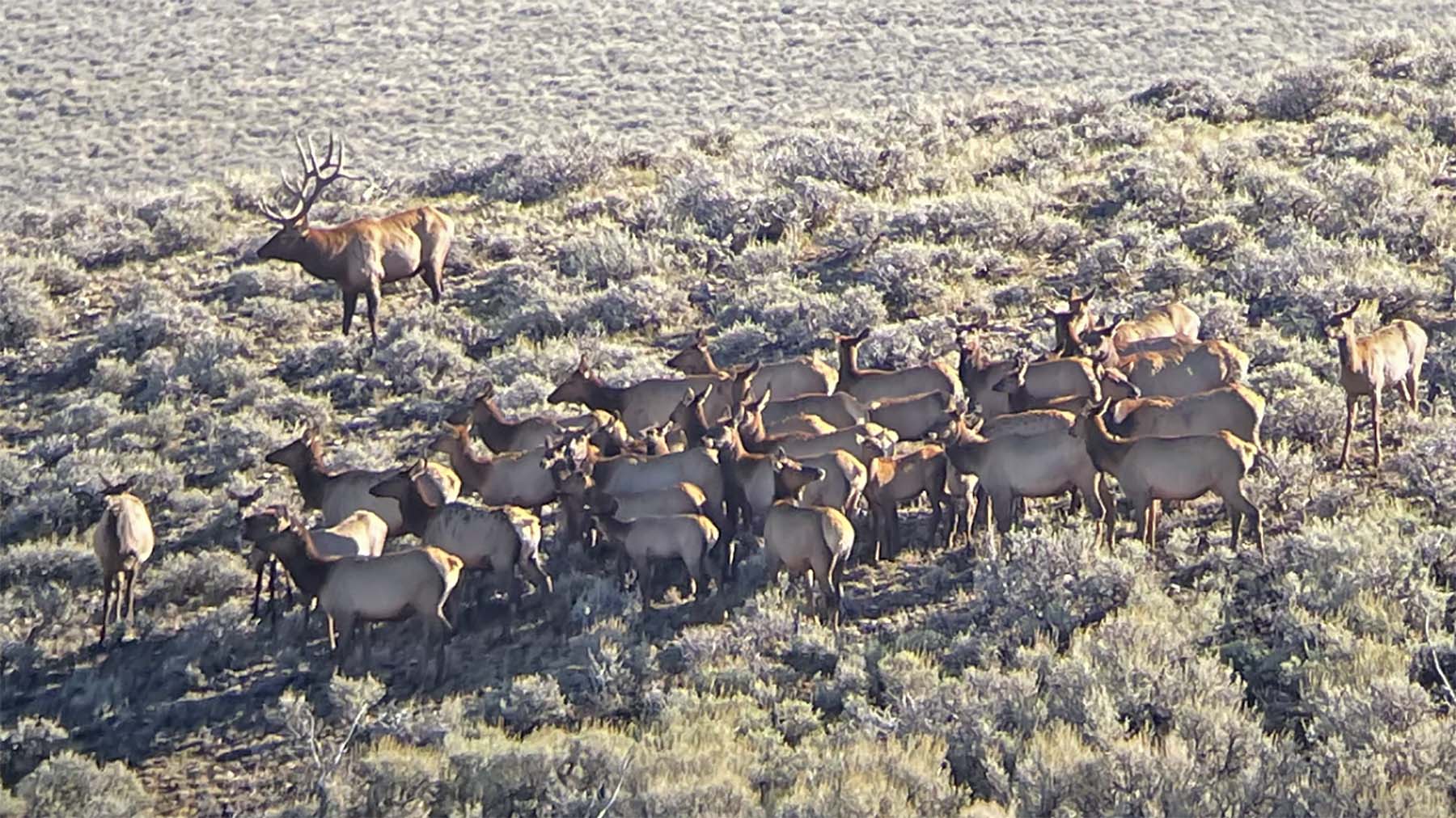 K Ranch - Sold - Colorado - Hall and Hall