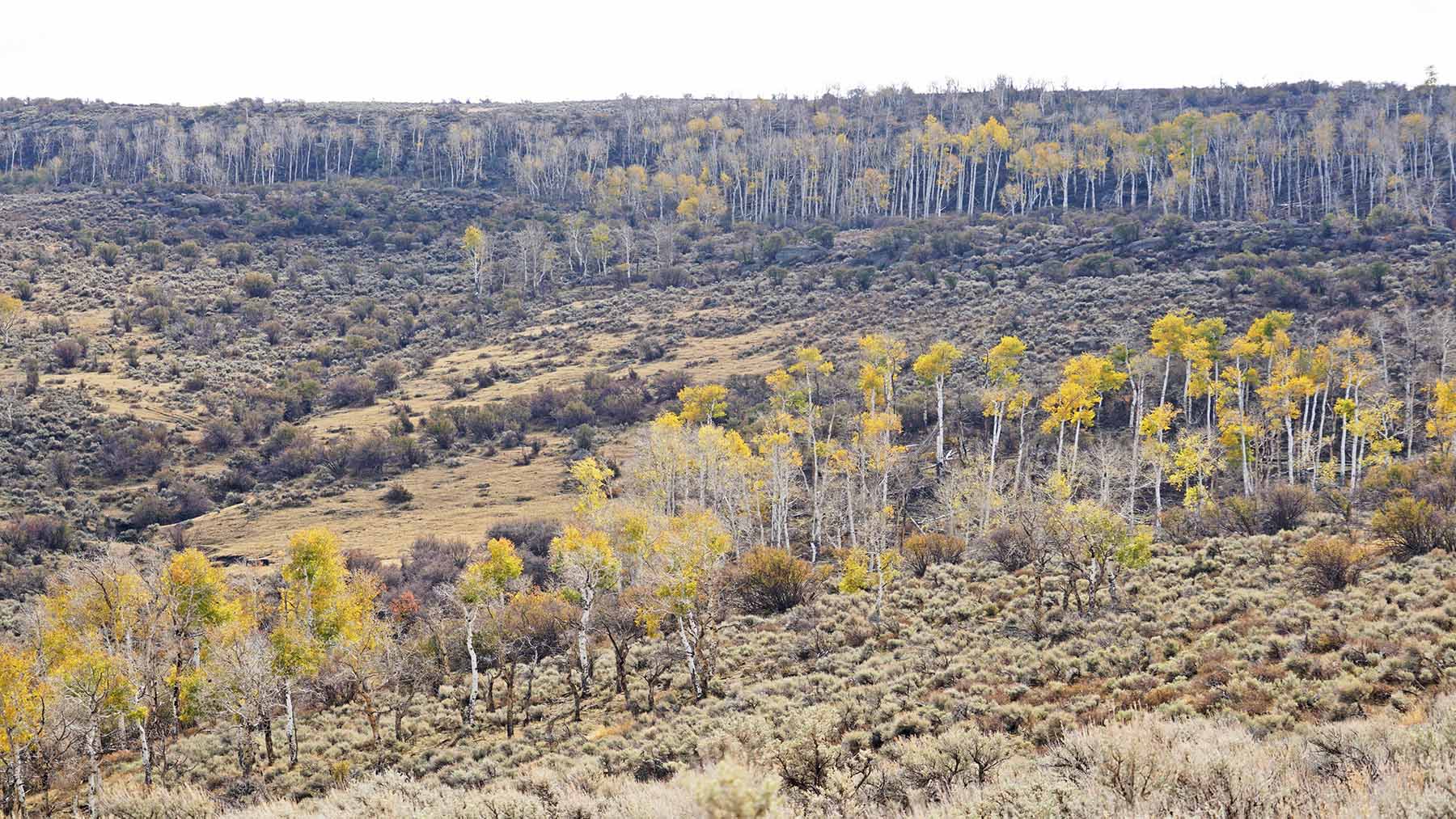K Ranch - Sold - Colorado - Hall and Hall