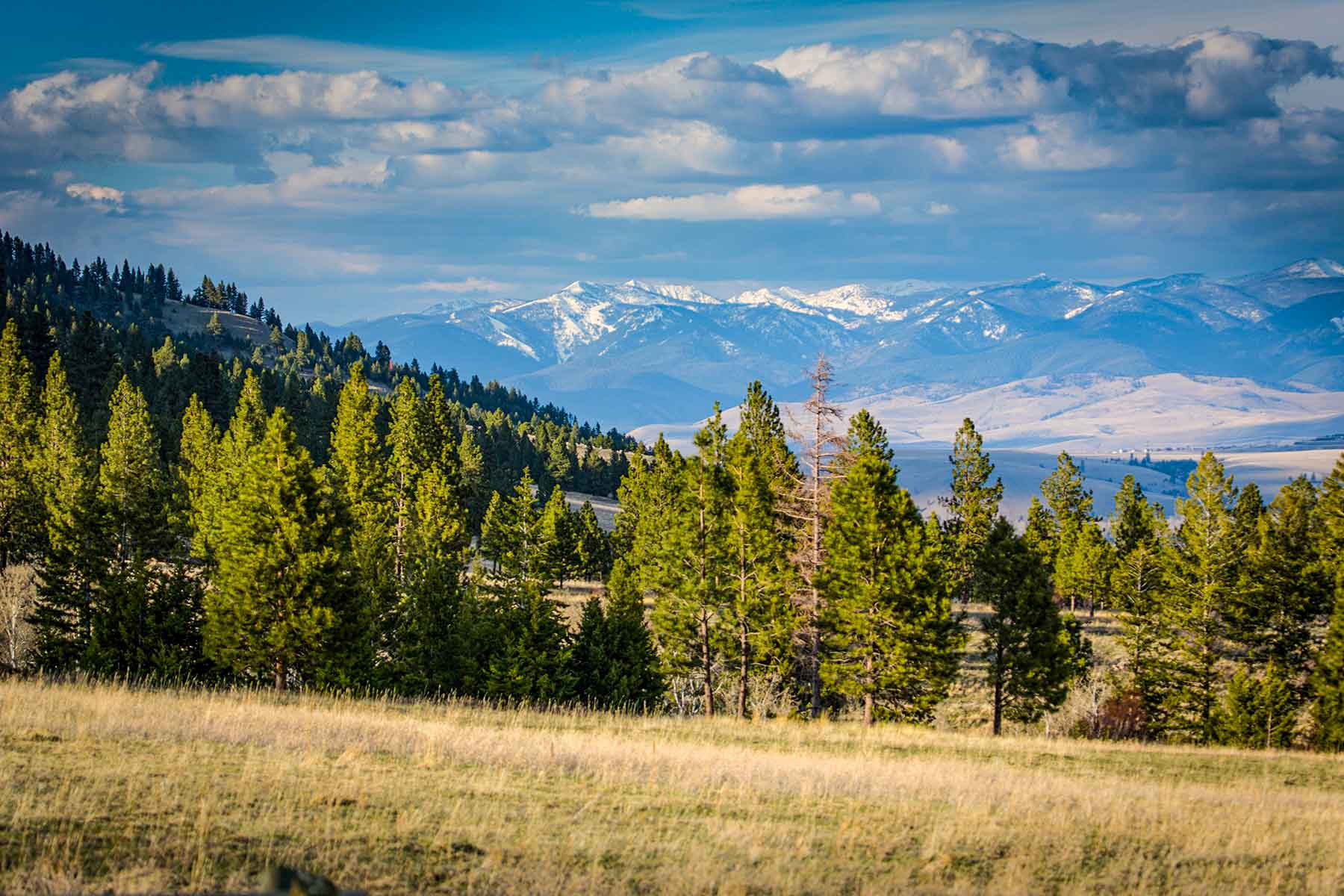 Lolo Ranch - For Sale - Montana - Hall and Hall