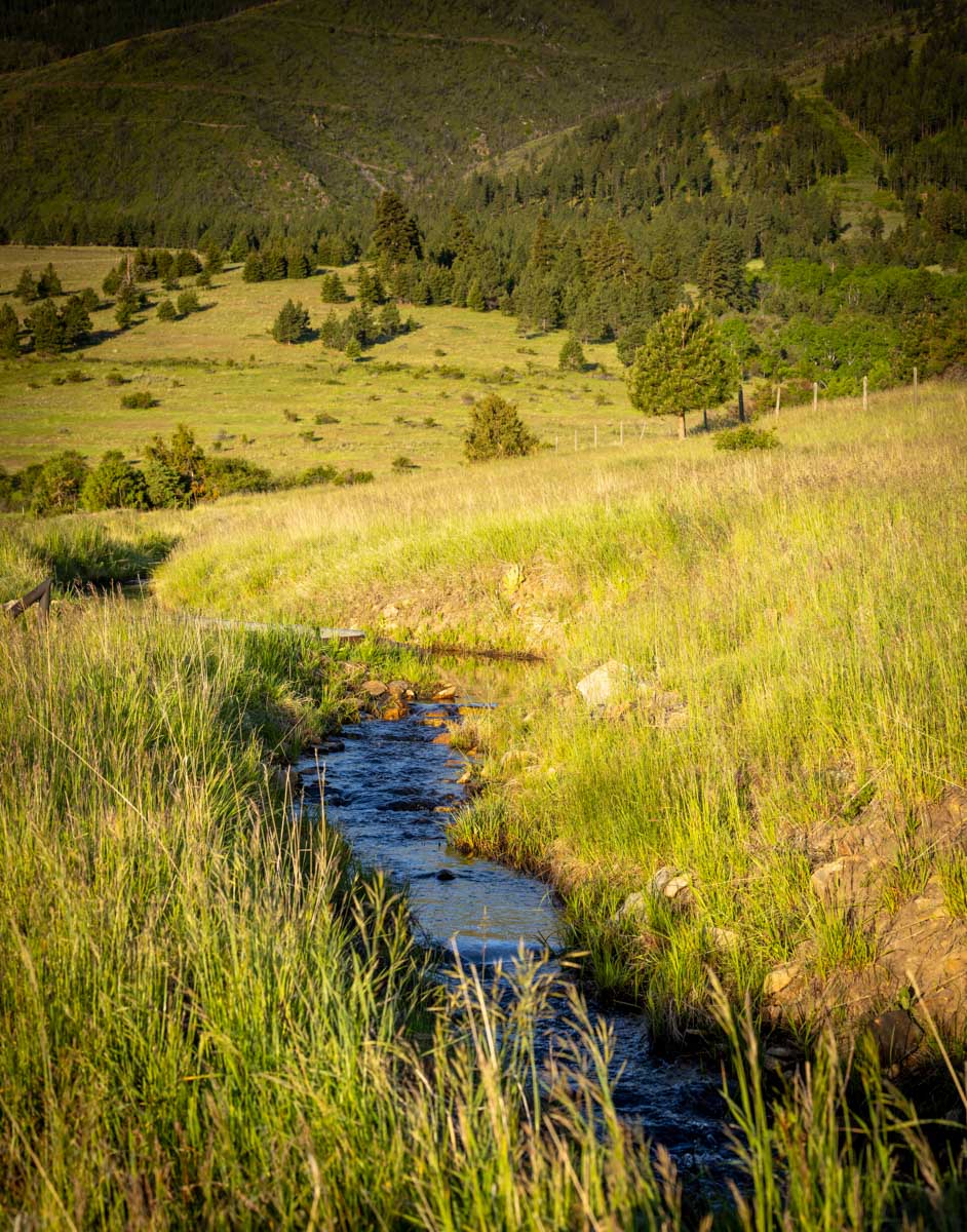 Lolo Ranch - For Sale - Montana - Hall and Hall